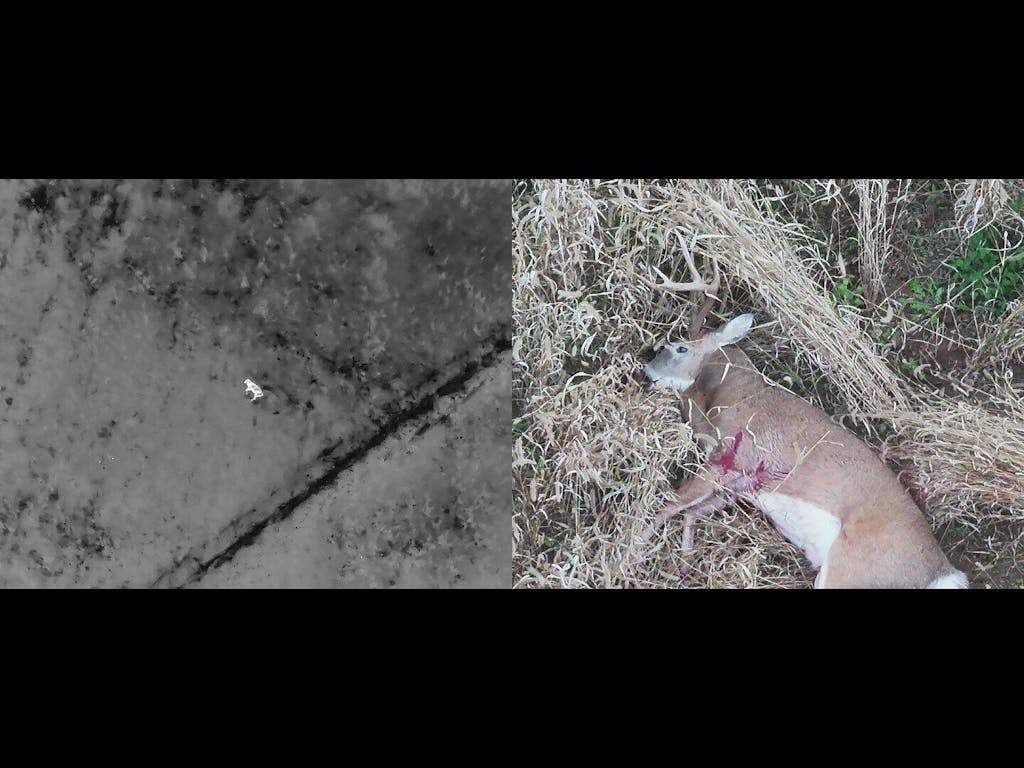 Unveiling Hidden Drone Spots – Covert Drones