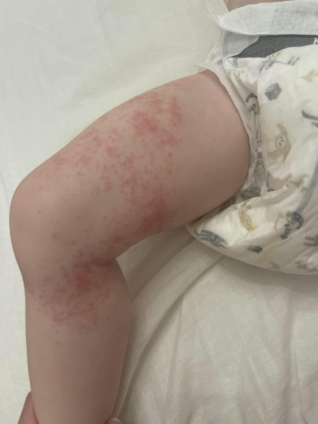 HEALER – Cow Kissed Organic Tallows