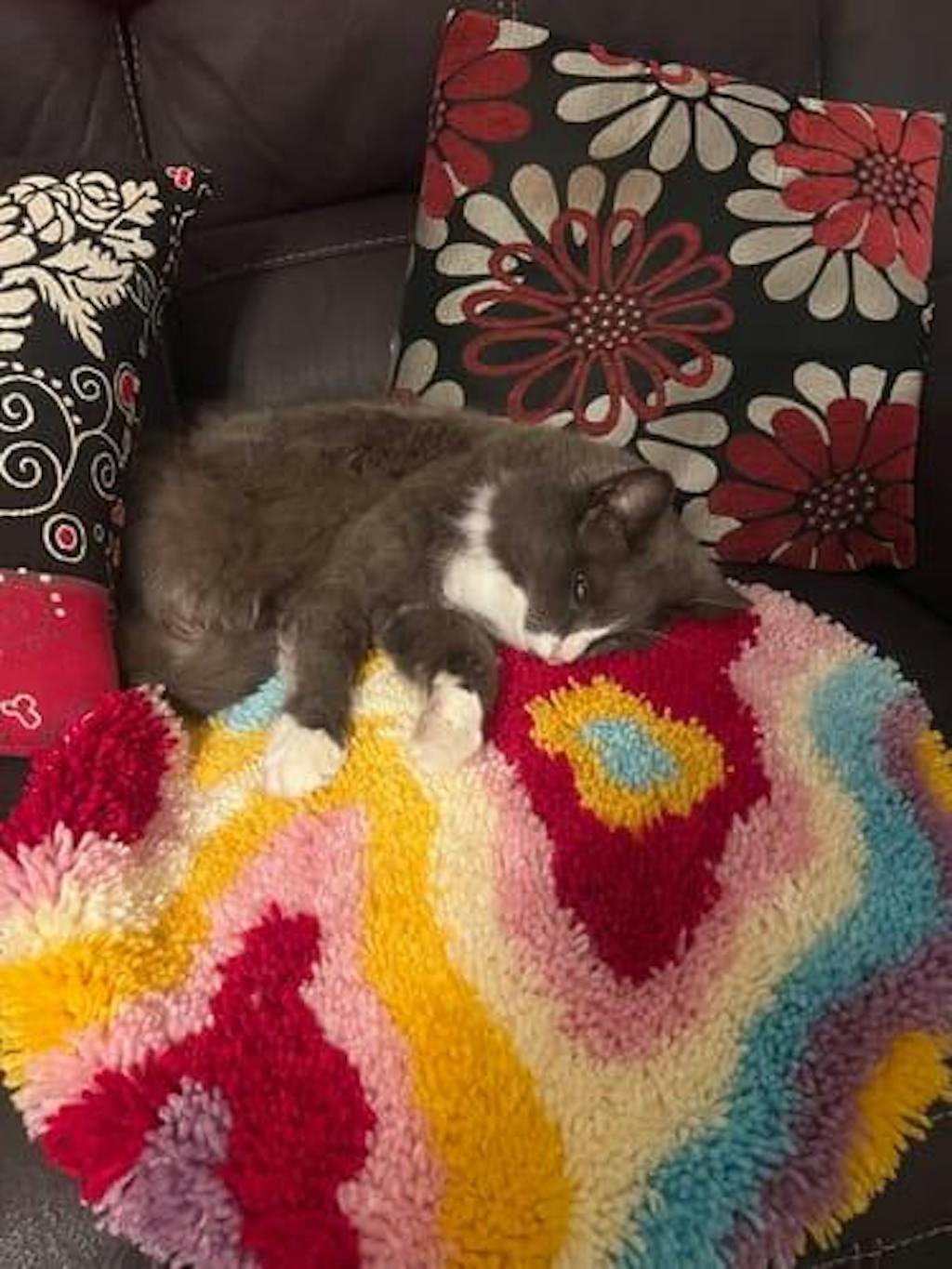 TULIP FEVER - AMSTERDAM Latch Hook Rug Making Kit | Craft Club