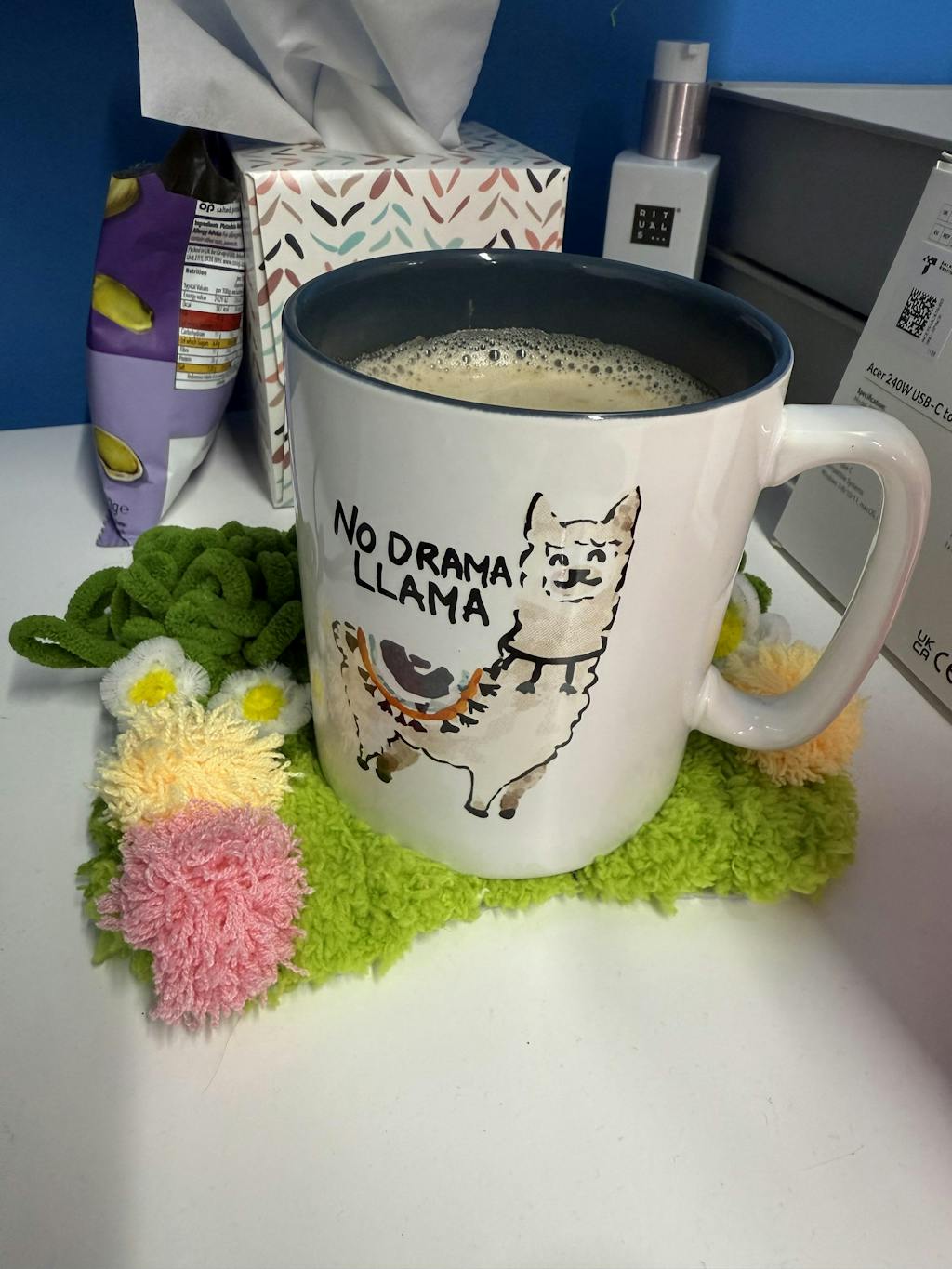 DAISY - Moss Coaster Kit