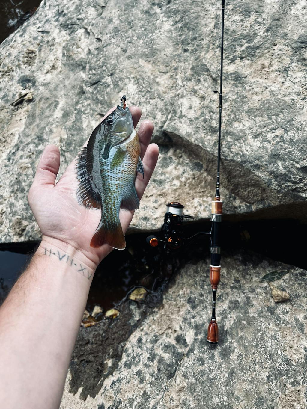 Hand Made 5ft Ultra Light Rod "The Hickory Twig" – Creek Life Lure Co.