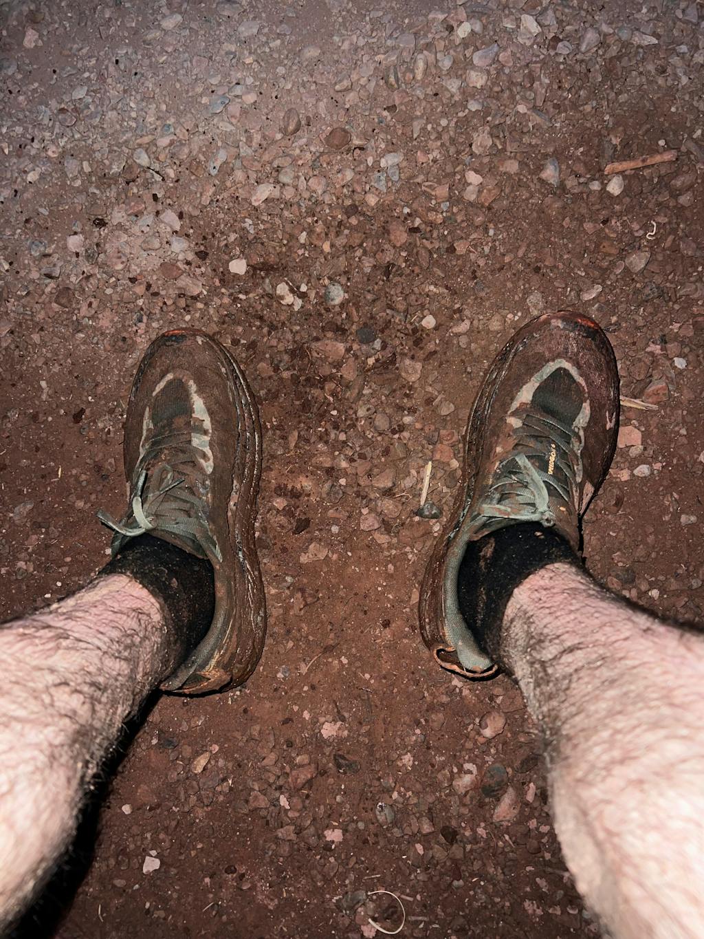 Midnight Glory, Merino Wool Toe socks | Limited Edition #6 | Creepers Socks