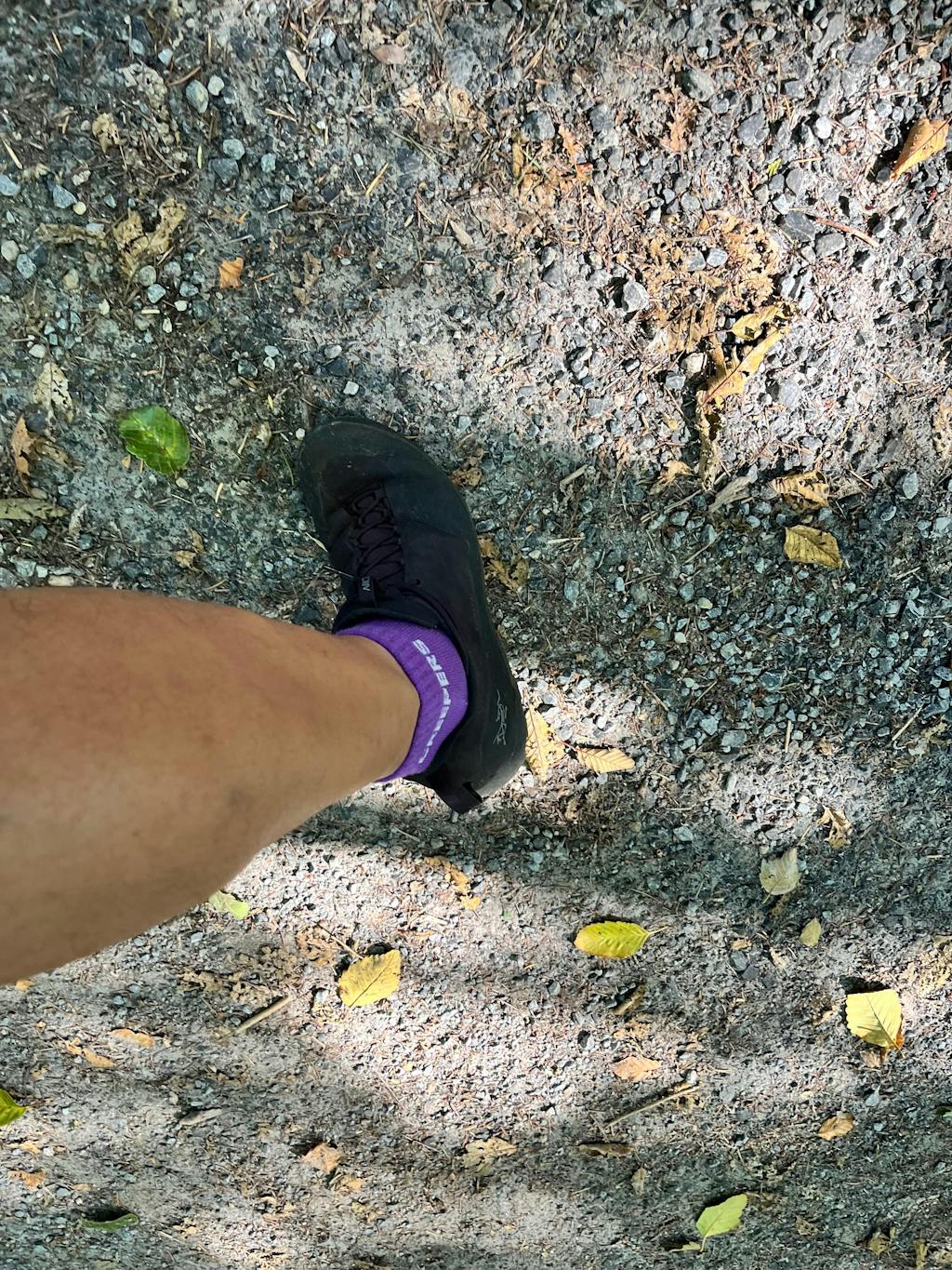 Camo-toes | Olive Drab | Creepers Socks