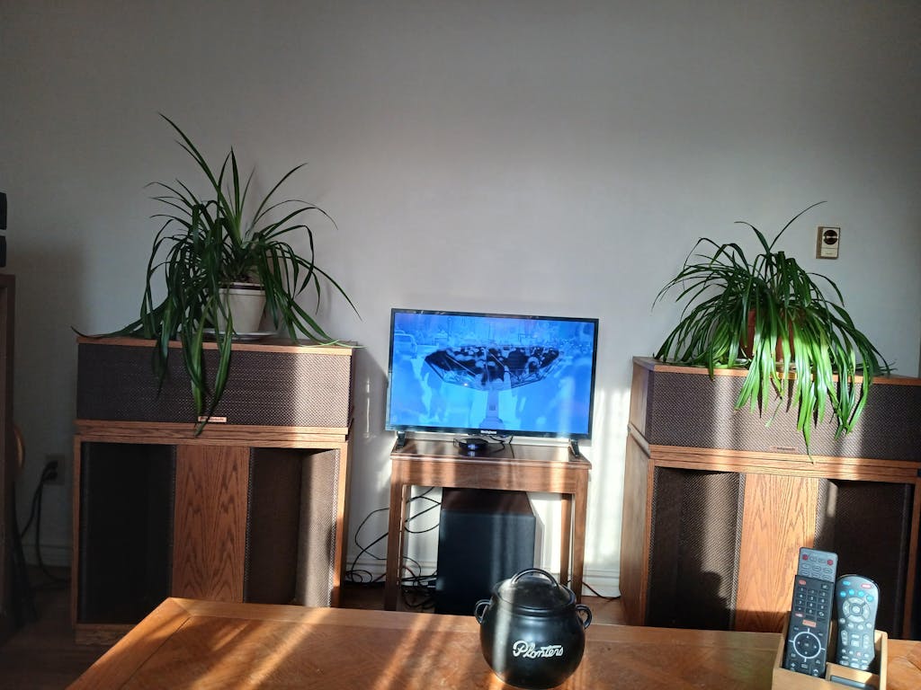 CT120 Tweeter - Pair - FREE US Shipping! – Crites Speakers