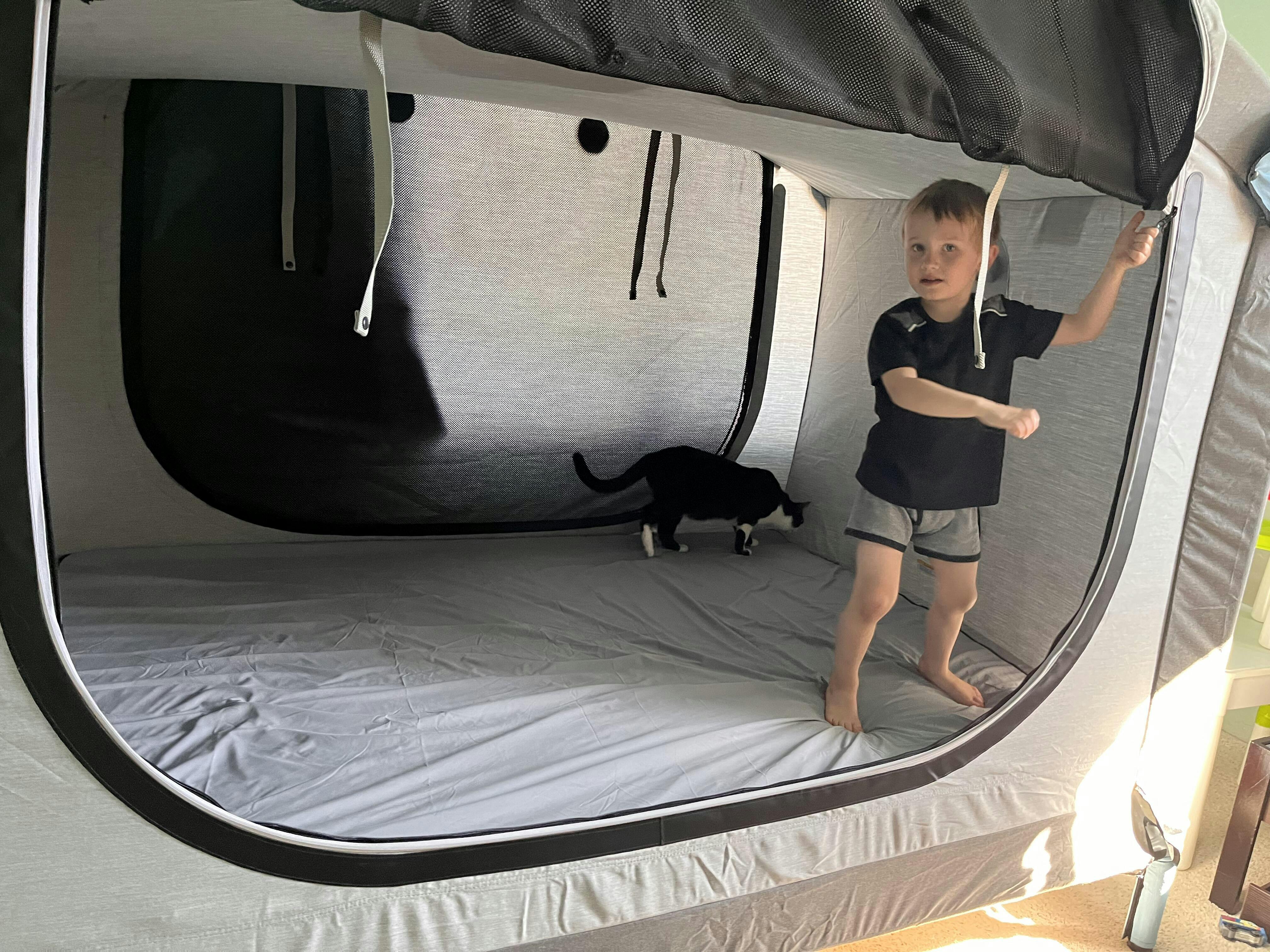 Cubby Bed Reviews – Cubby Beds