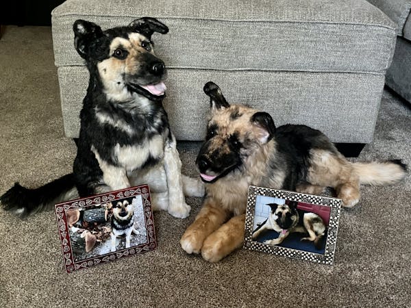 Cuddle Clones: Custom Stuffed Animals of Your Pet - Premium Quality