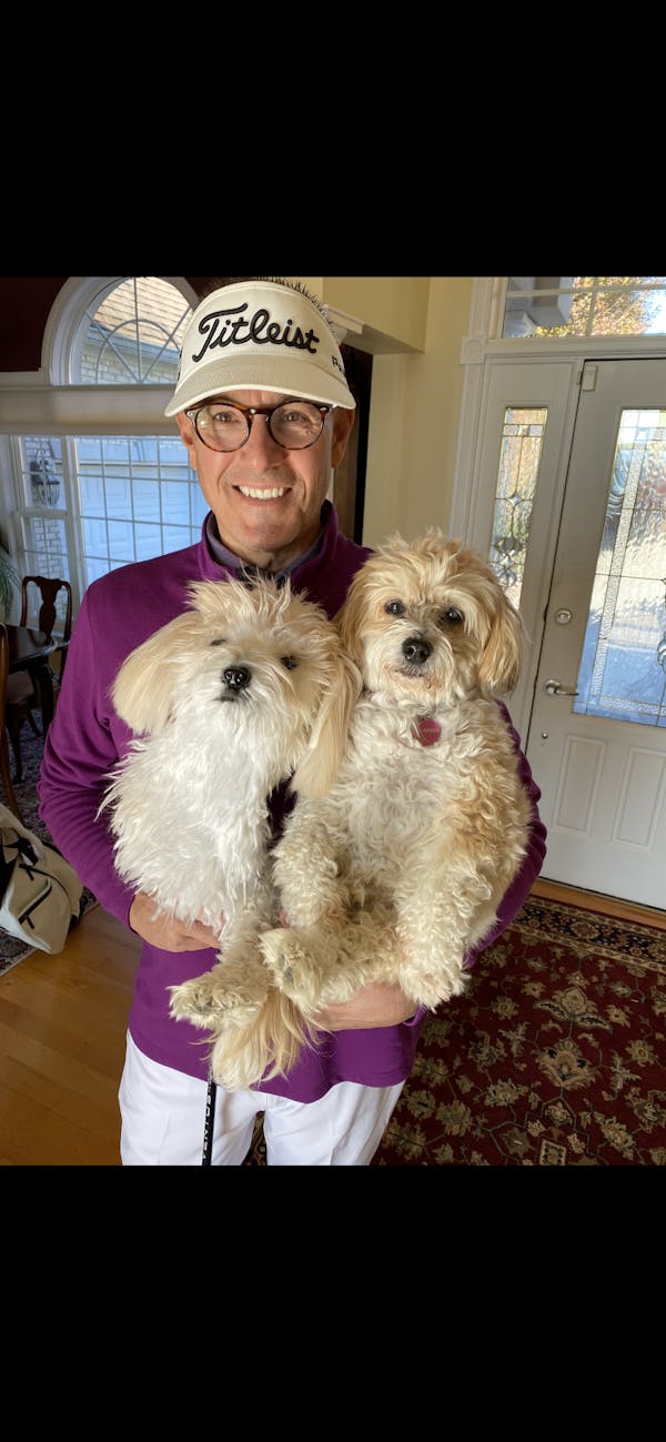 Cuddle Clones: Custom Stuffed Animals of Your Pet - Premium Quality