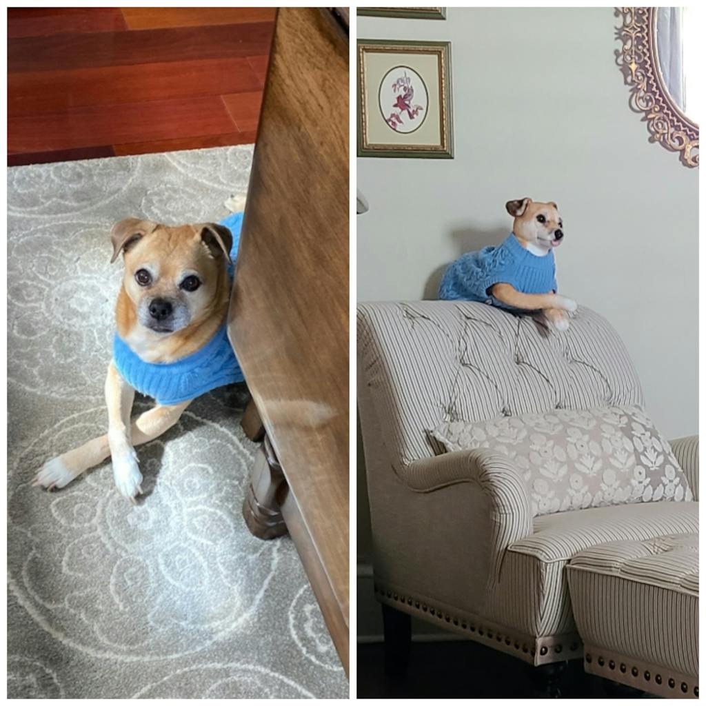 Product Reviews - Cuddle Clones