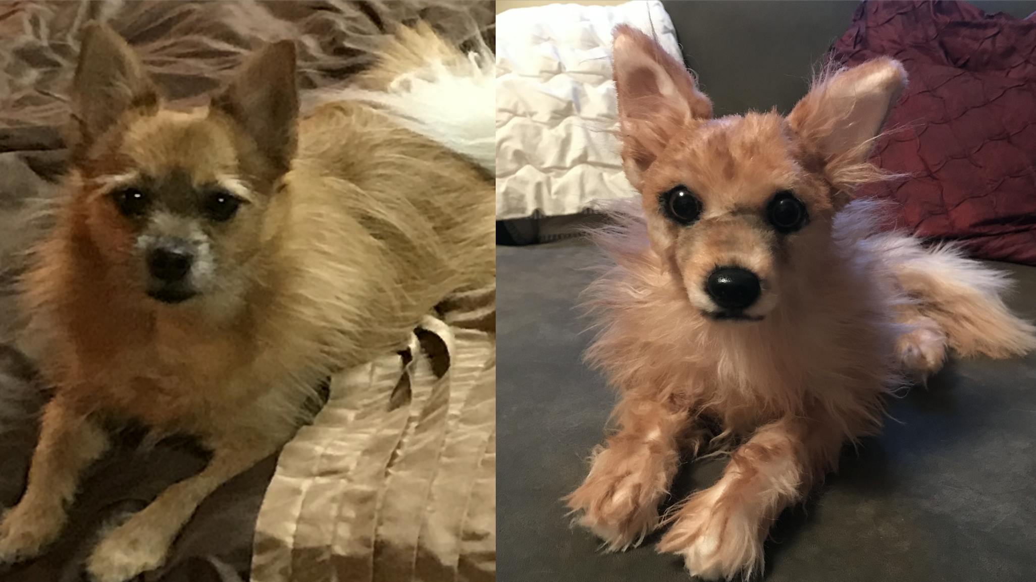 Custom Stuffed Animal of Your Pet - Plush Dogs & Cats | Cuddle Clones