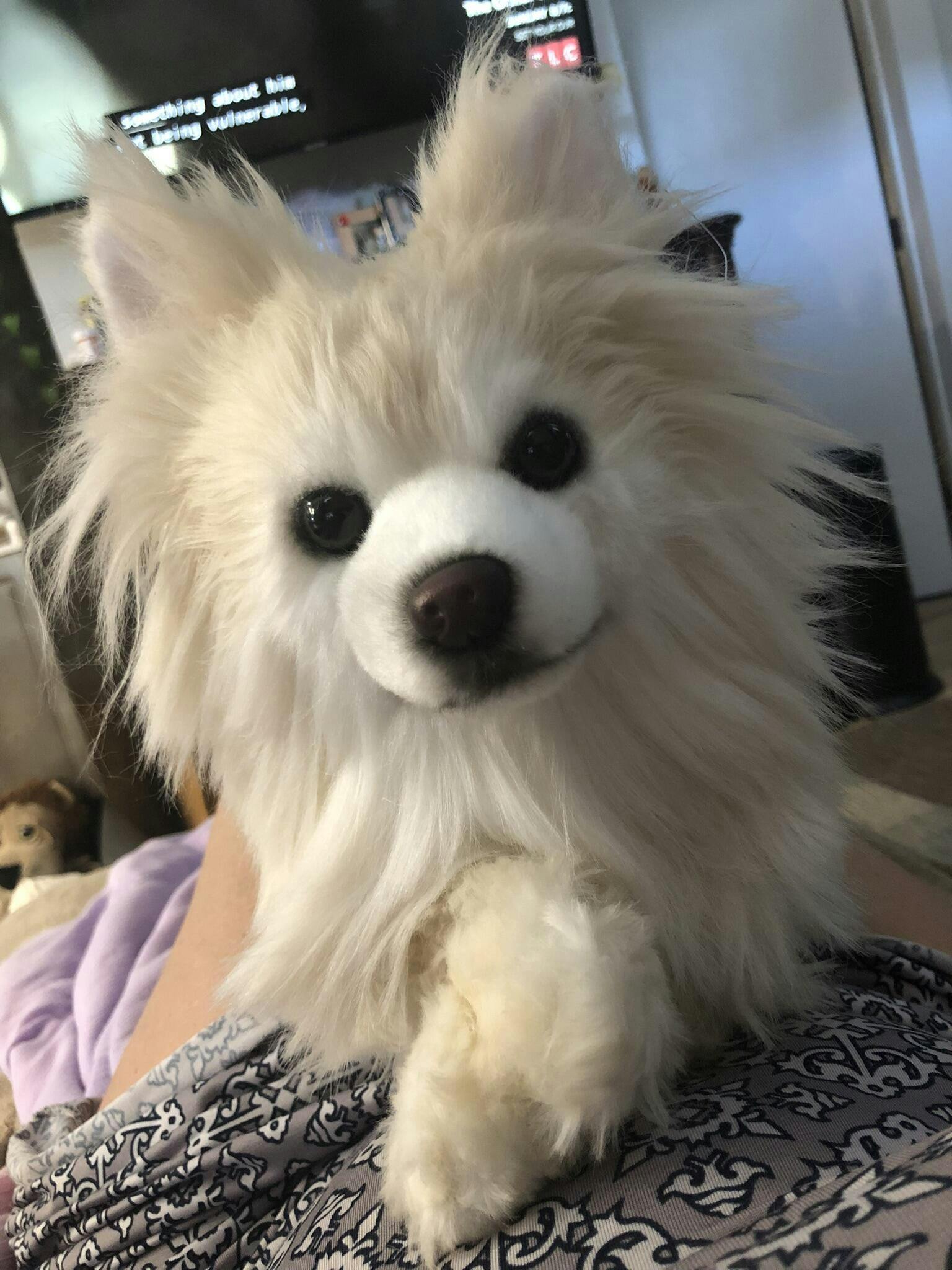 Product Reviews - Cuddle Clones