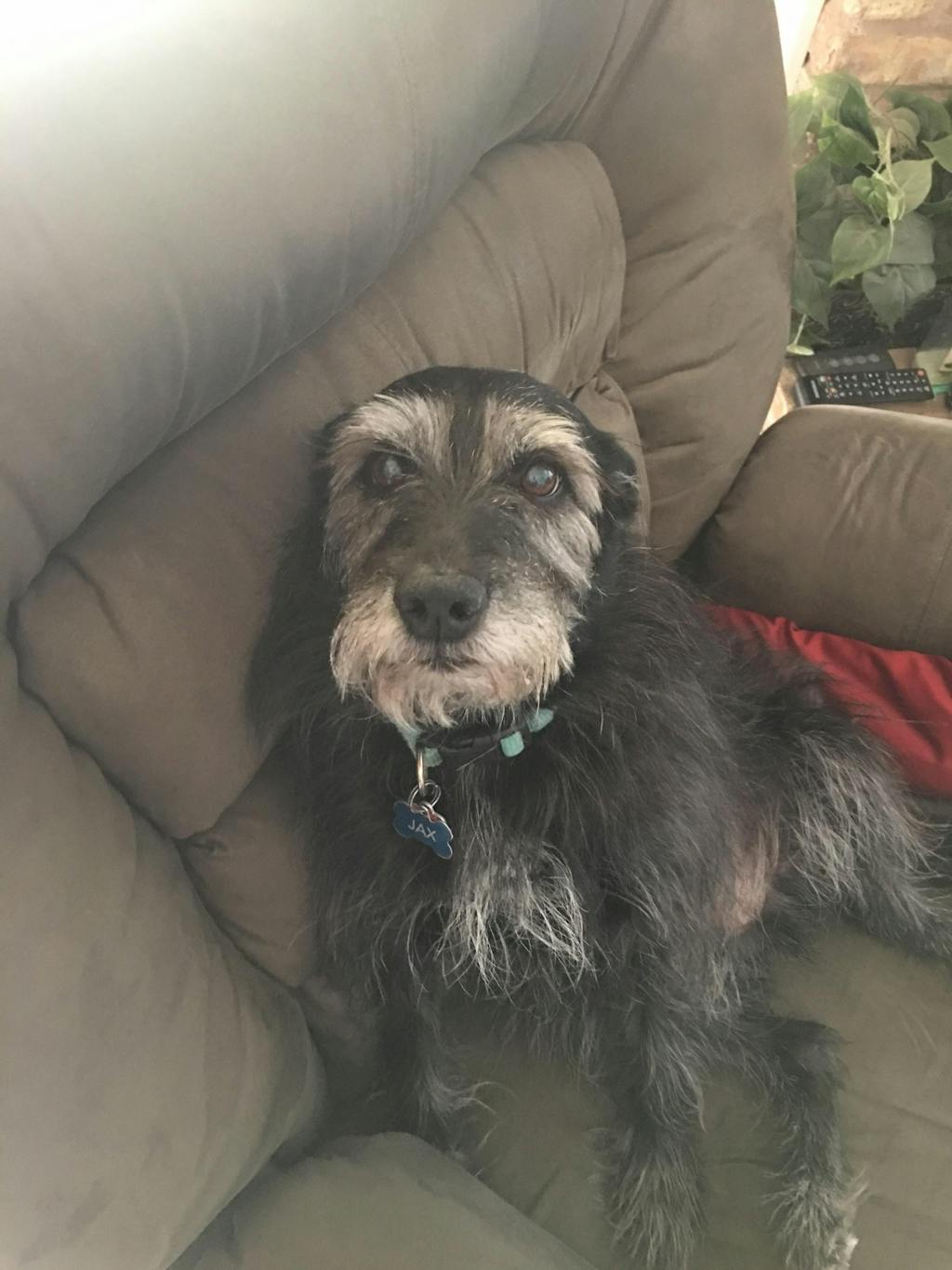 Product Reviews - Cuddle Clones