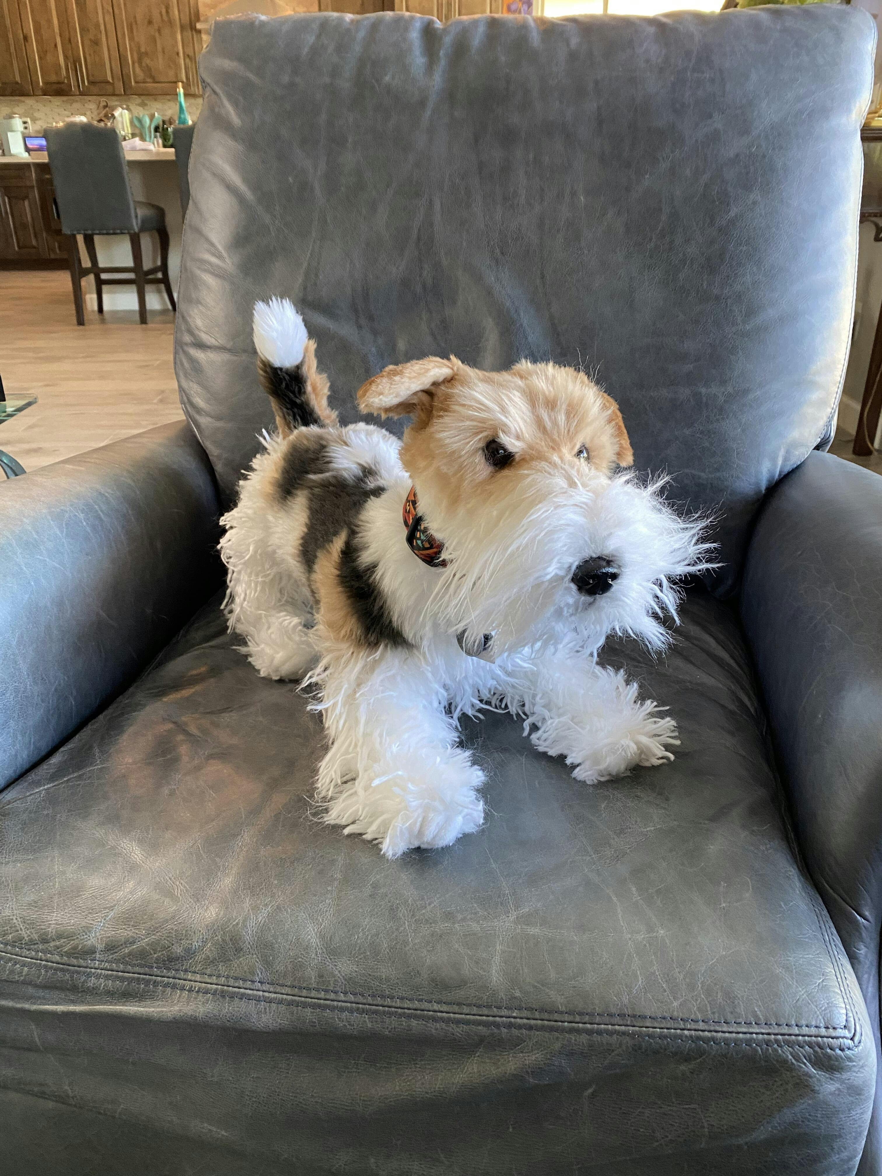 Product Reviews - Cuddle Clones