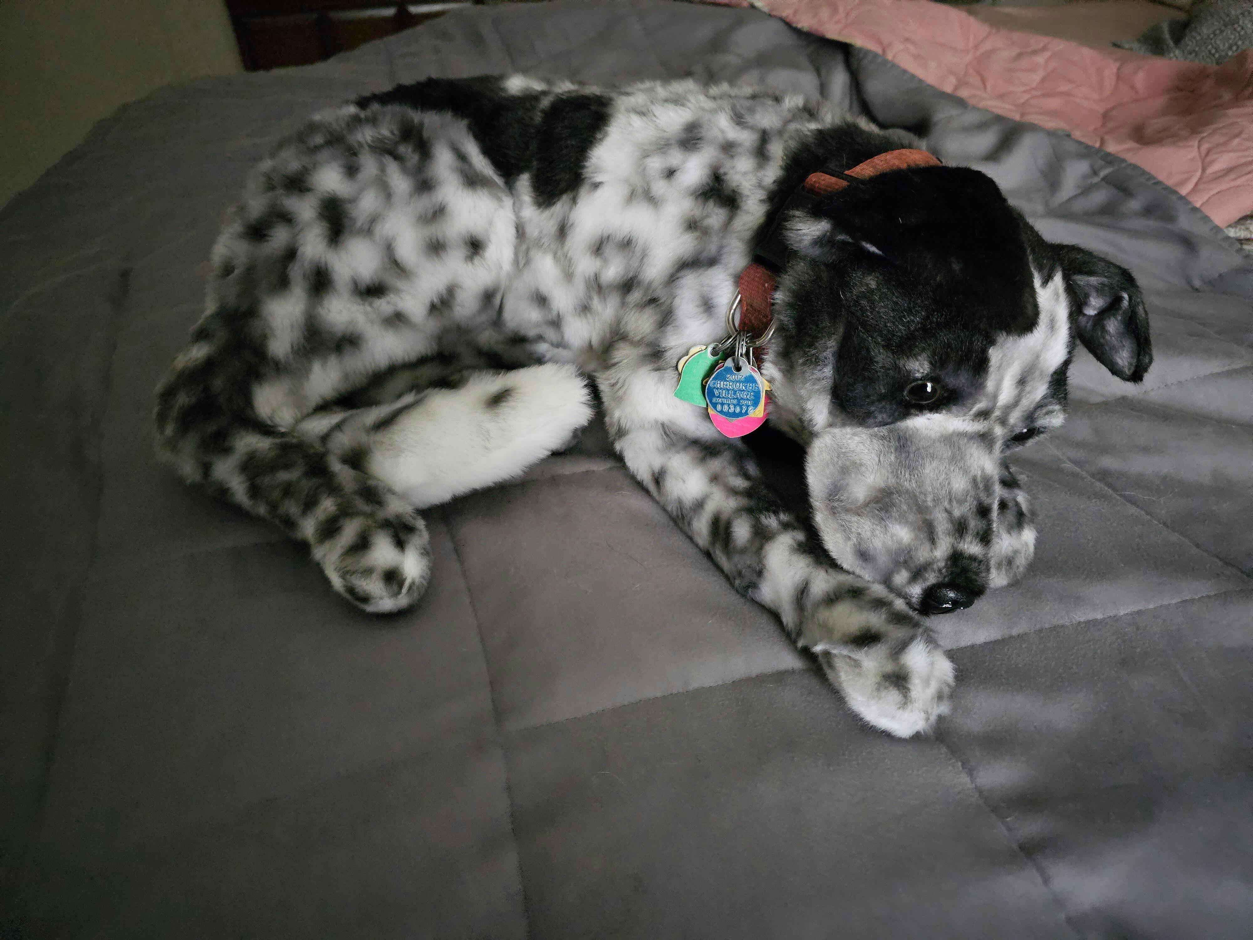 Custom Cat Plush - Personalized Stuffed Cats - Cuddle Clones