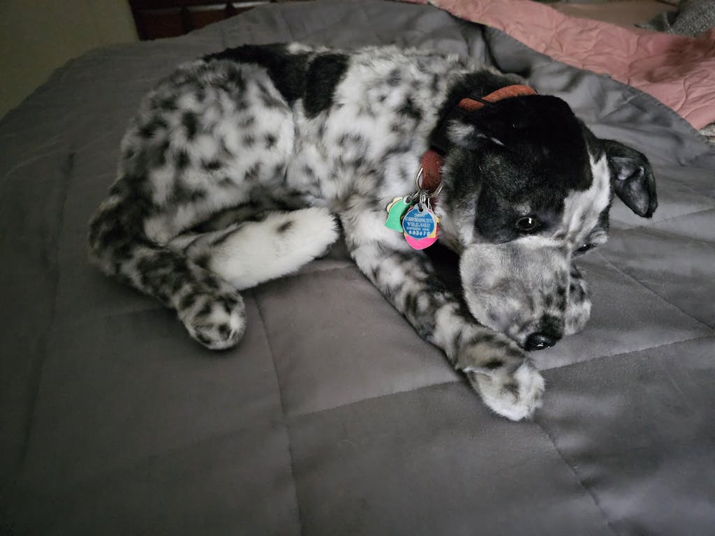 Custom Cat Plush - Personalized Stuffed Cats - Cuddle Clones