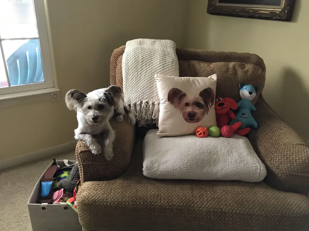 Pet Pillow | Cozy Up with Custom Pet Pillows, Custom Dog Pillows, and ...