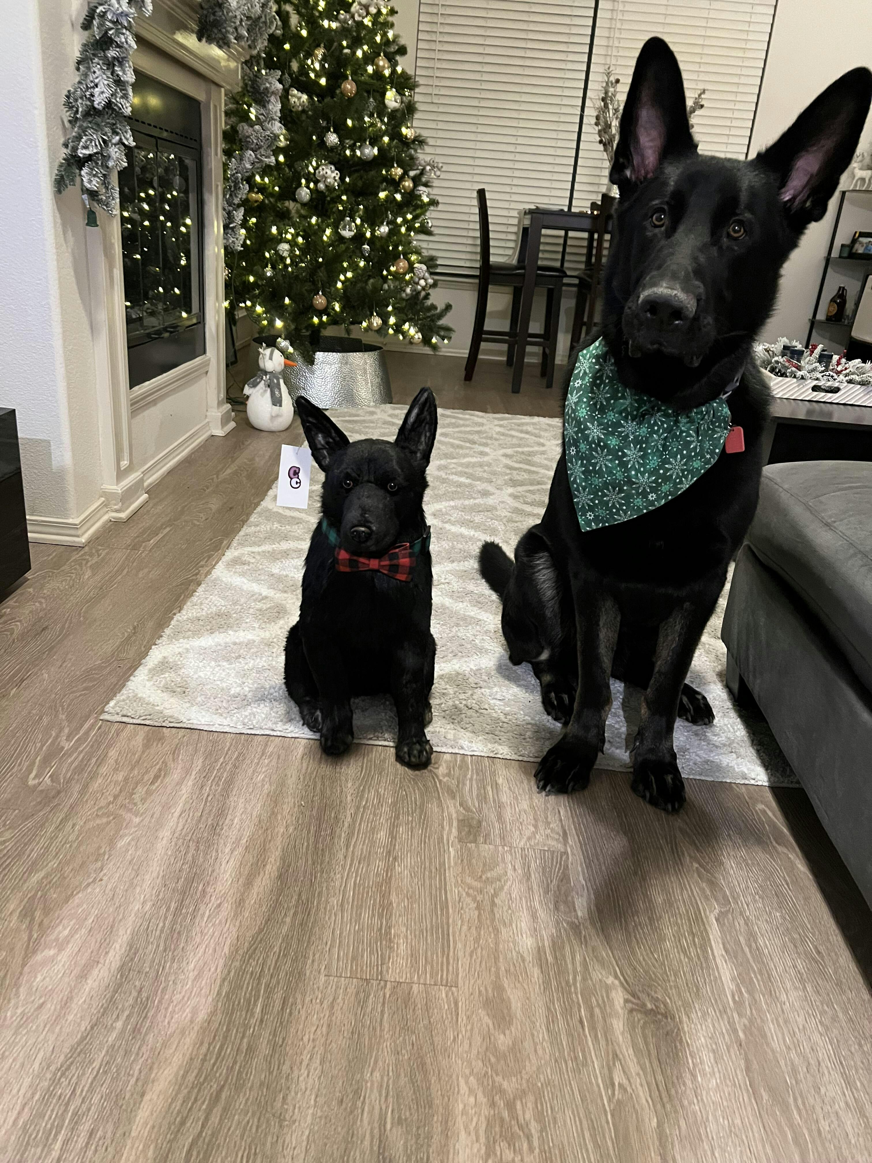 Product Reviews - Cuddle Clones