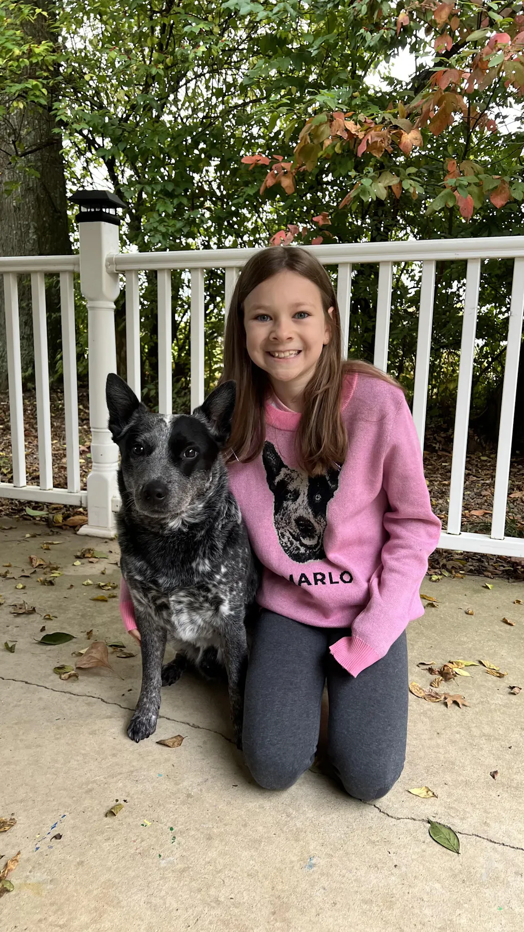 Custom Knit Pet Sweater - Cuddle Clones
