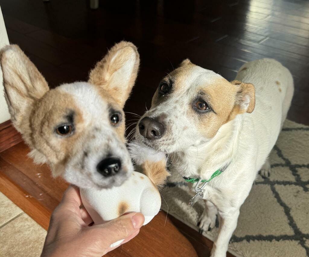 Custom Bobblehead - Cuddle Clones