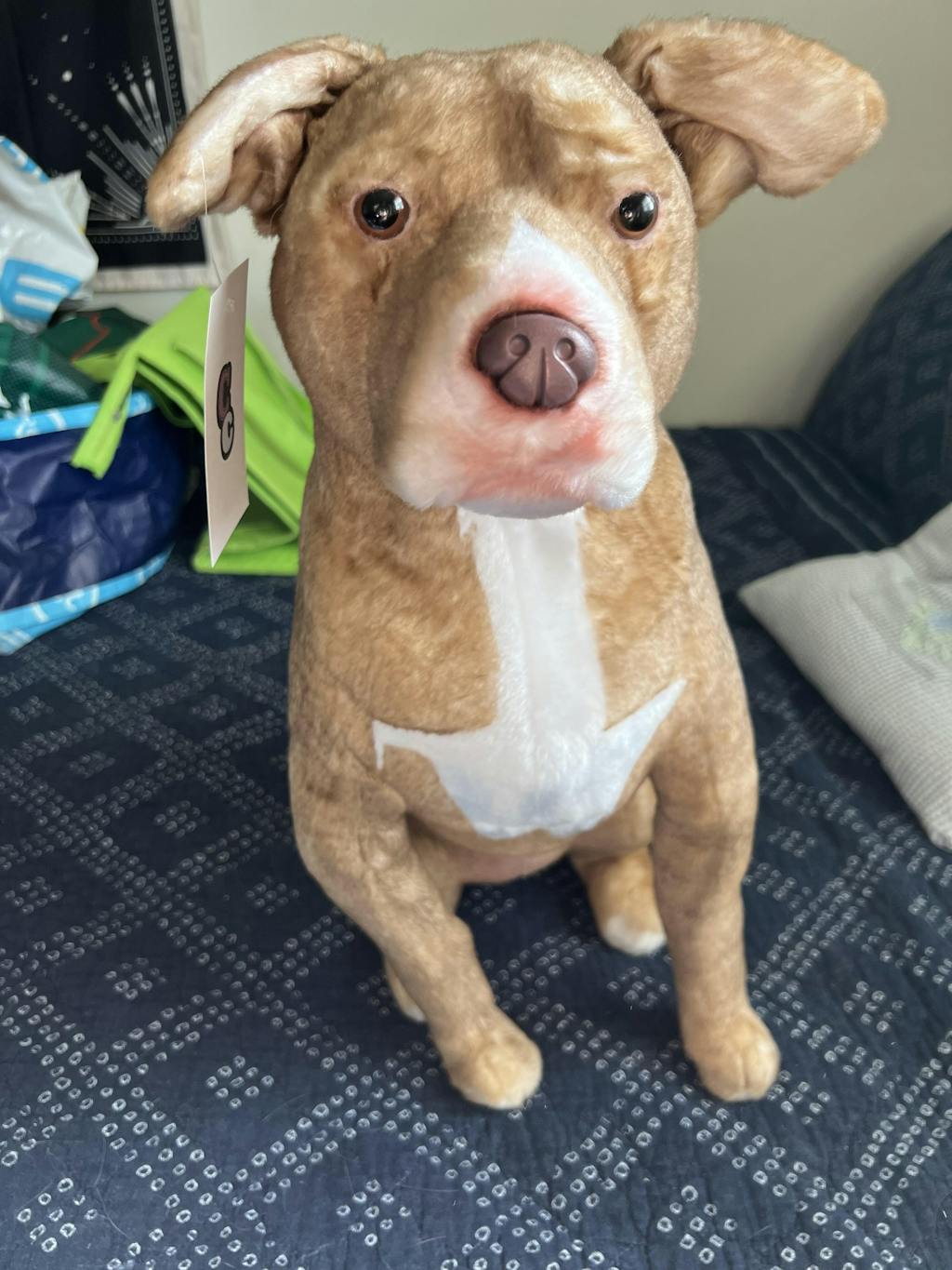 Stuffed Animal That Looks Like Your Pet | Customize a High-Quality Dog ...