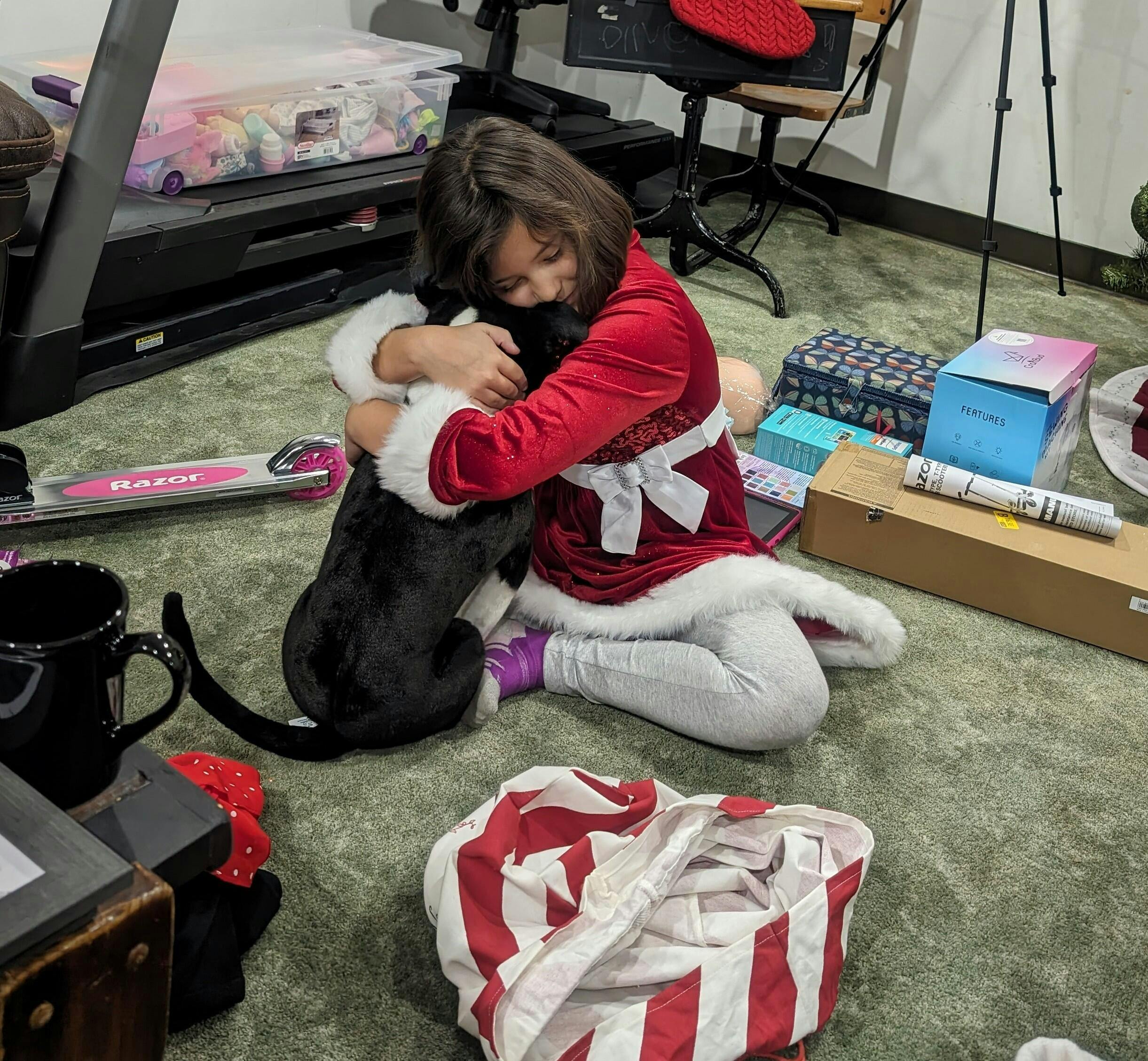 Yorkie Stuffed Animal | Immortalize Your Pet with a Yorkie Plush ...