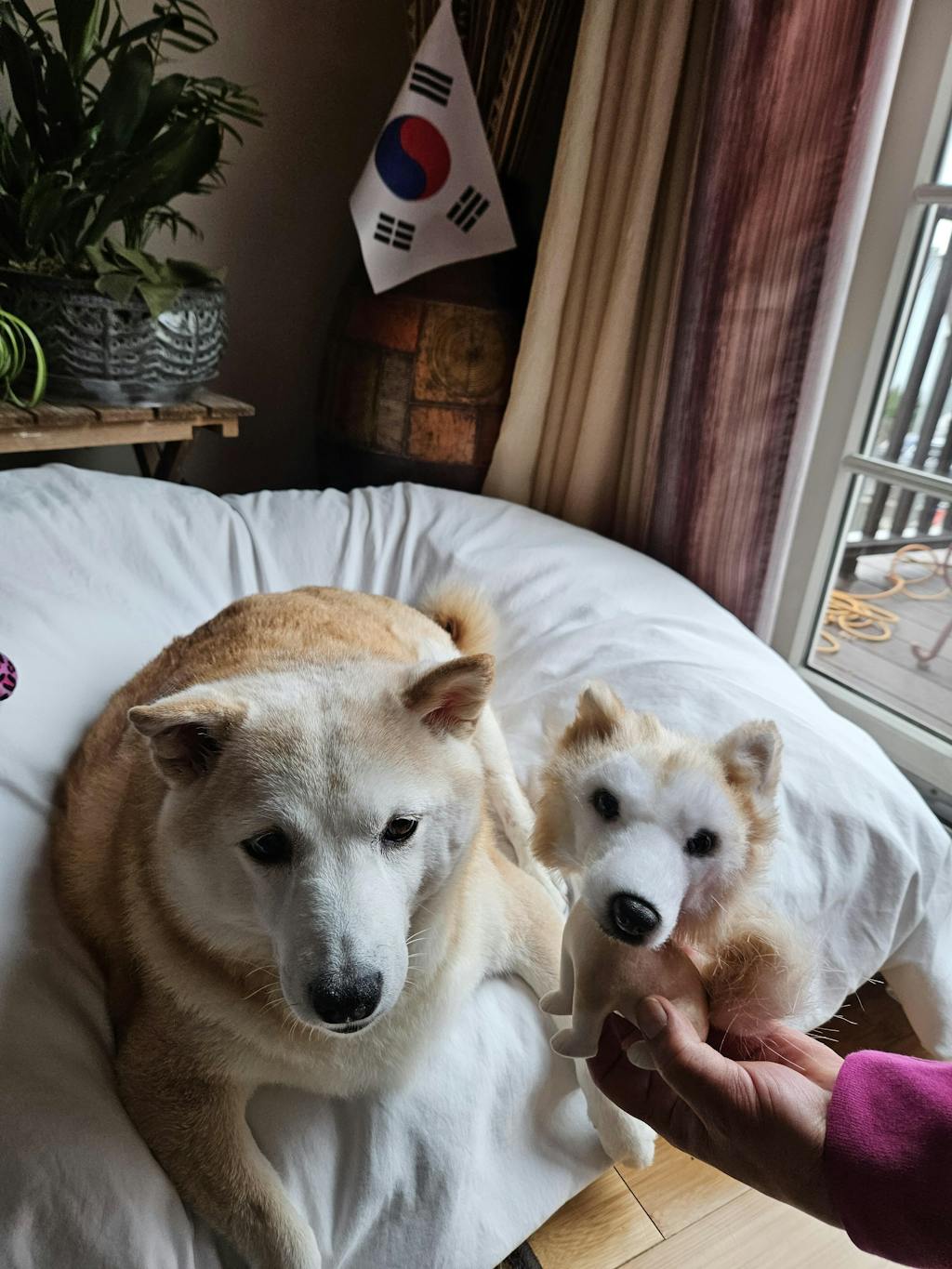 Custom Bobblehead - Cuddle Clones