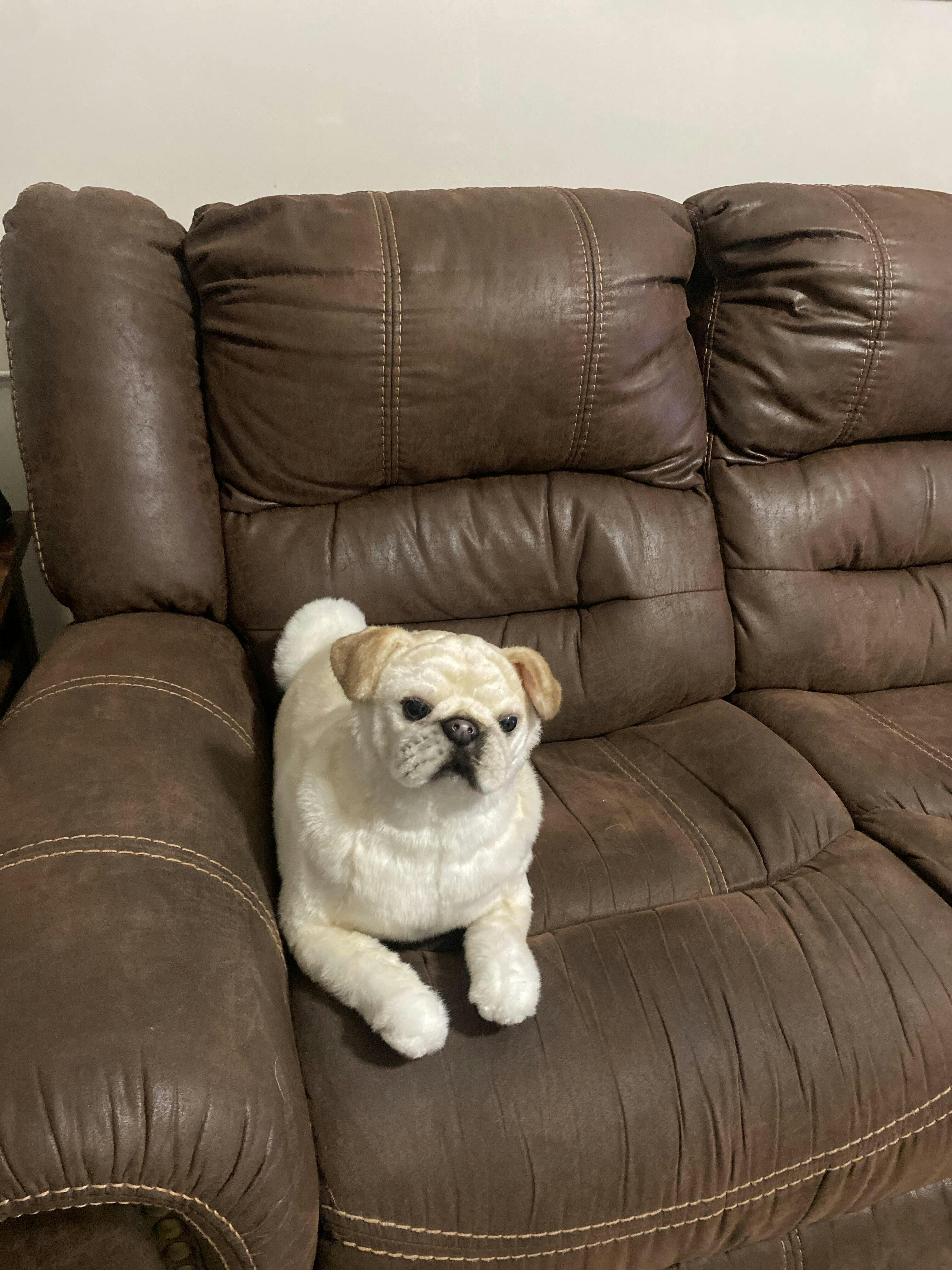 Bulldog Stuffed Animal | Lifelike Plush Bulldogs and English Bulldog ...