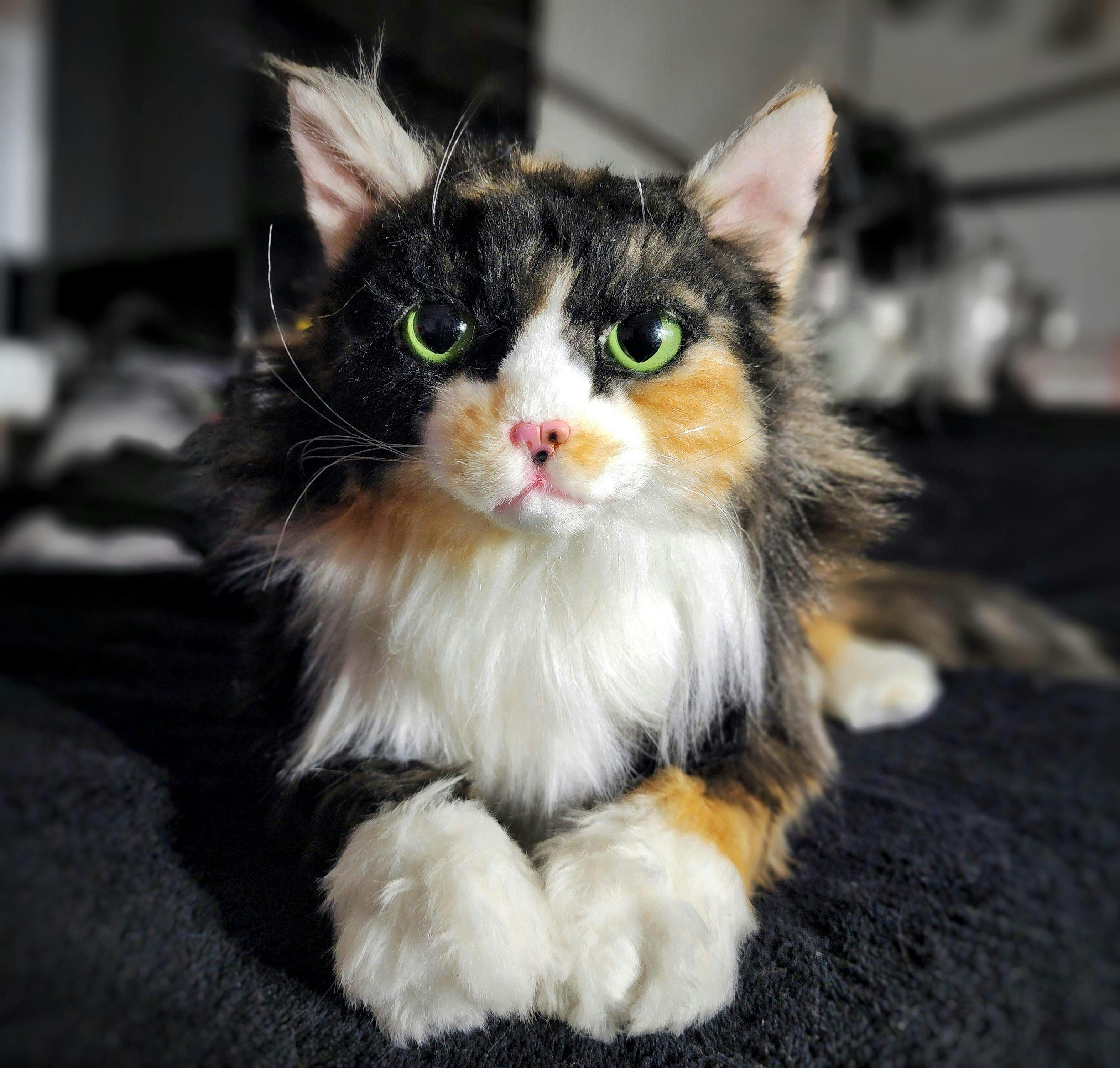 Tortoiseshell Cat Stuffed Animal | Get A Custom Tortoiseshell Cat Plush ...