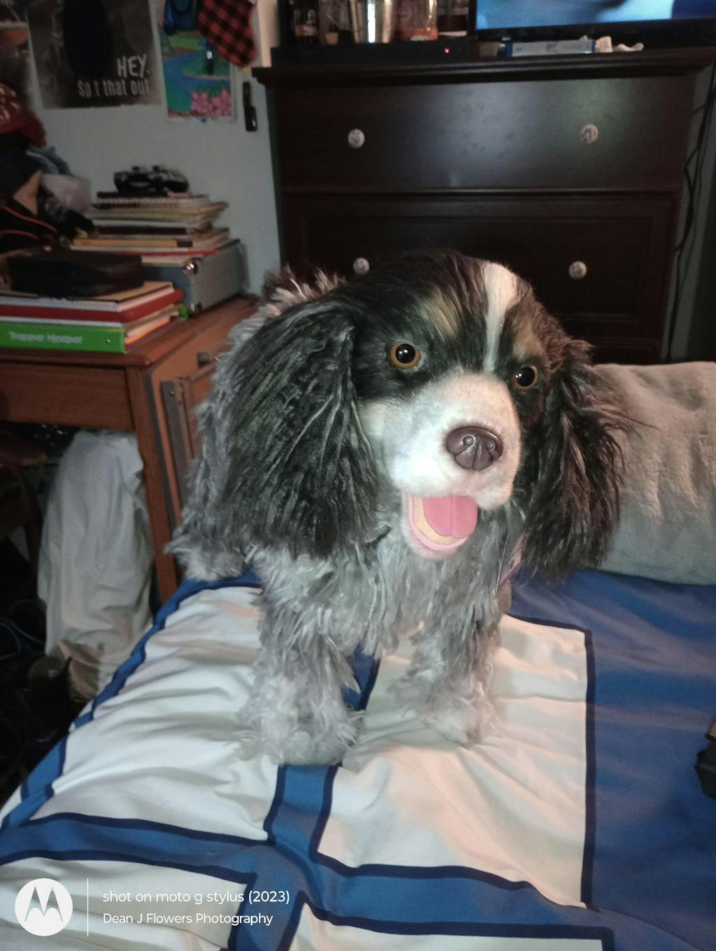 Product Reviews - Cuddle Clones