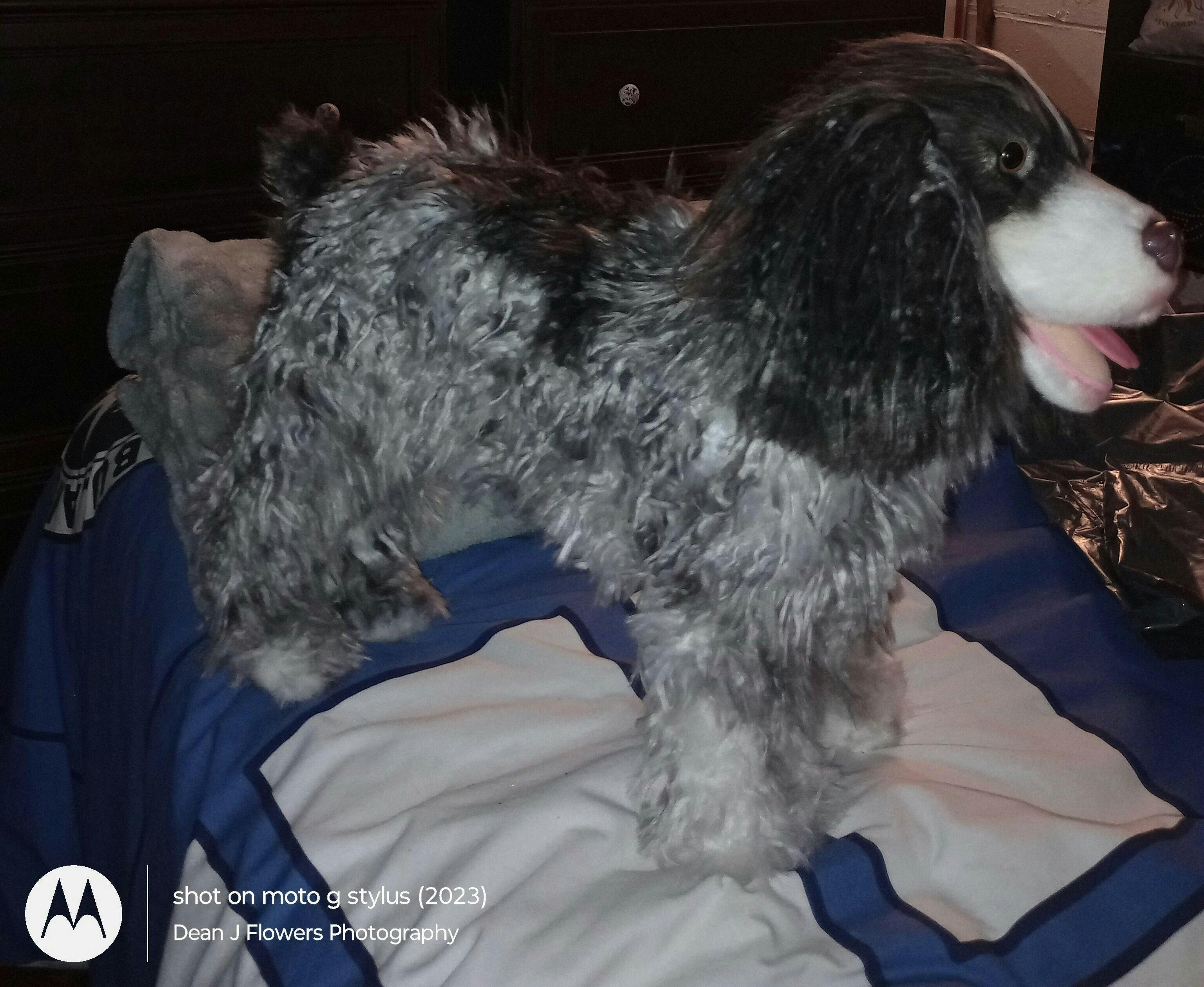 Product Reviews - Cuddle Clones