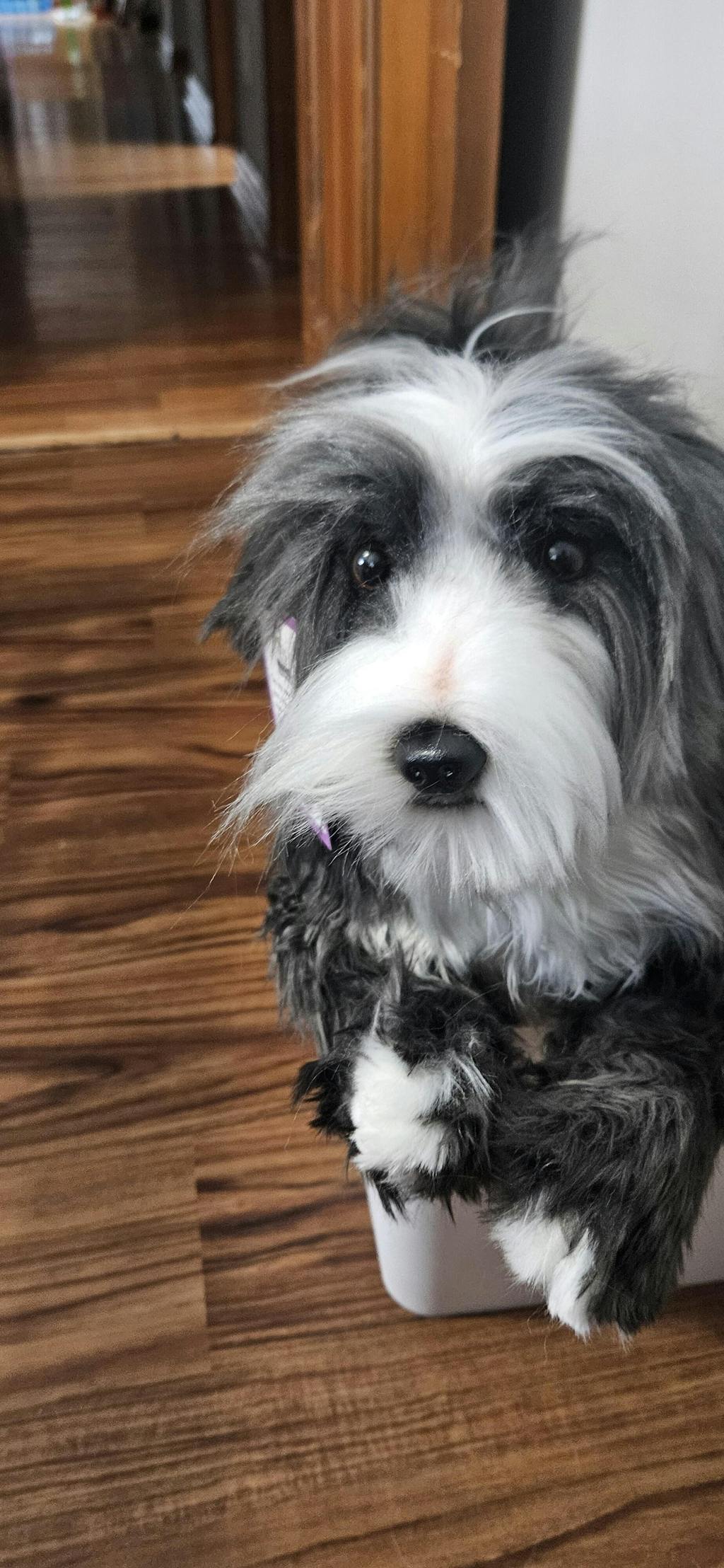 Product Reviews - Cuddle Clones