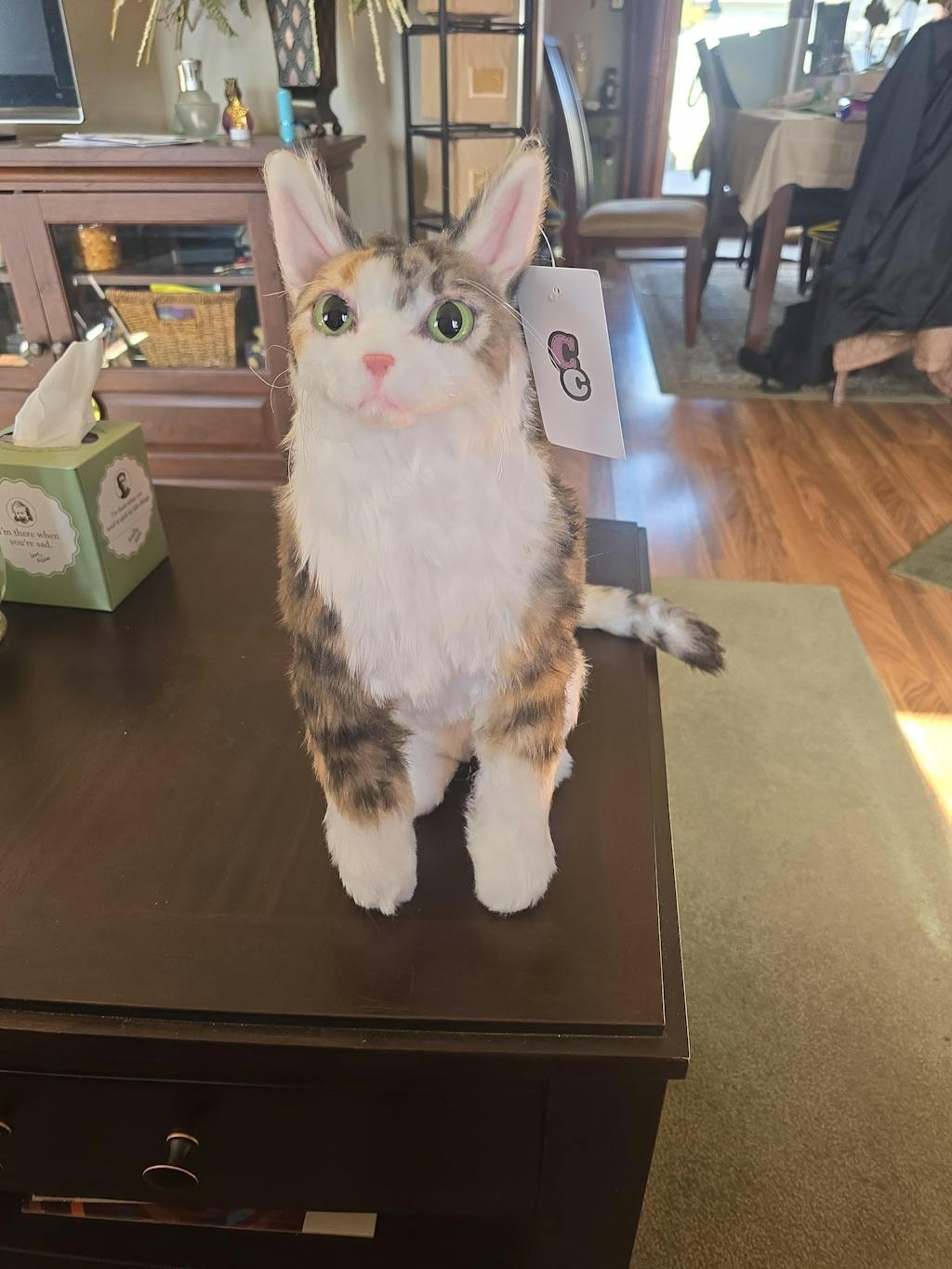 Product Reviews - Cuddle Clones