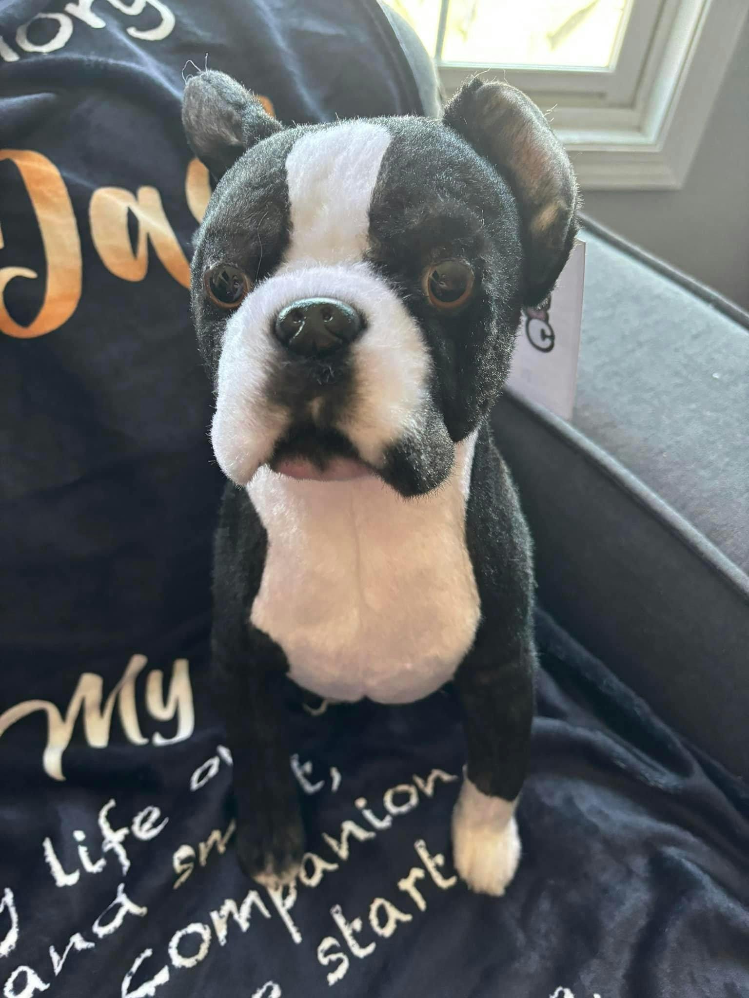 Product Reviews - Cuddle Clones