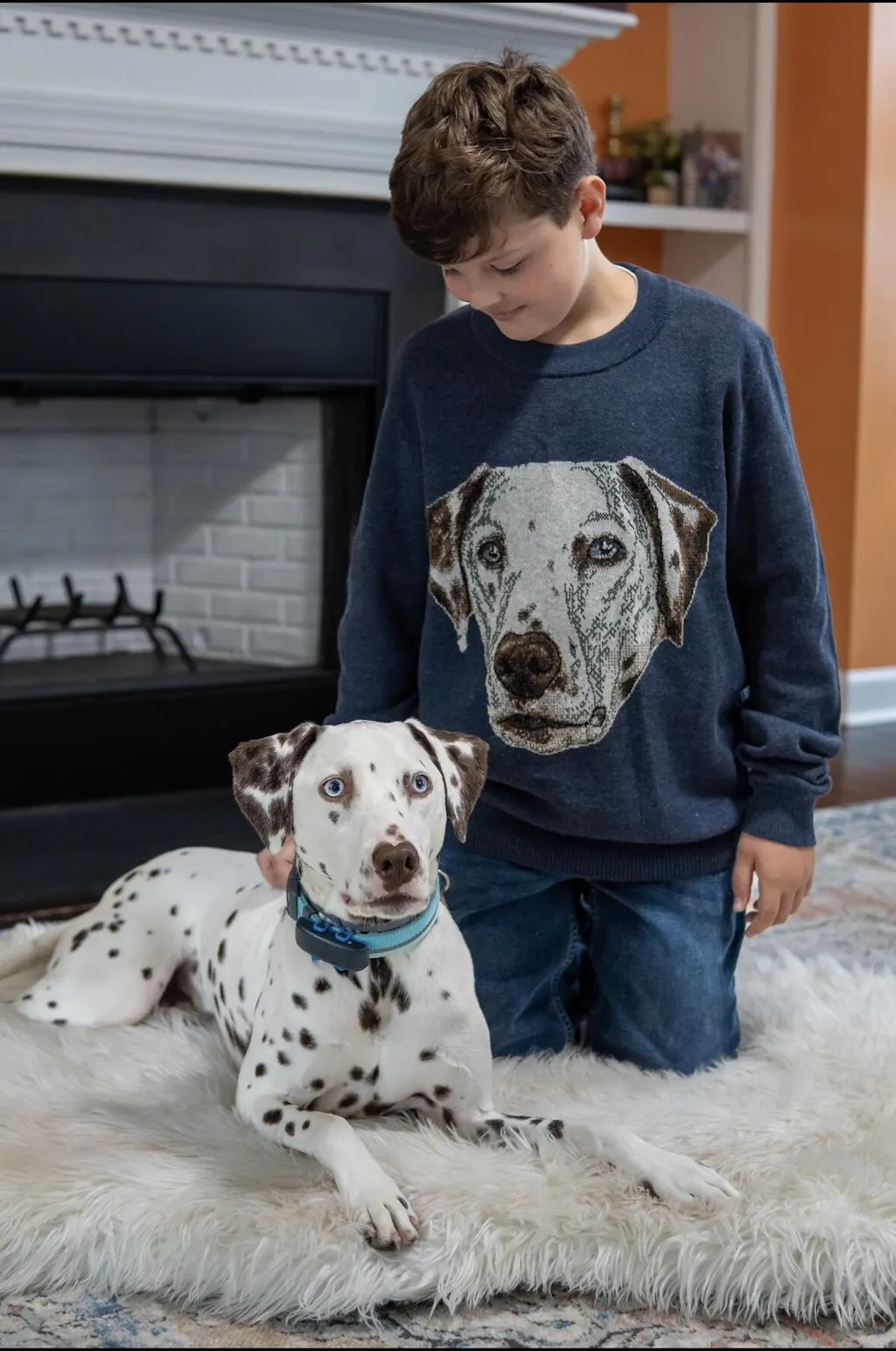 Custom Knit Pet Sweater - Cuddle Clones