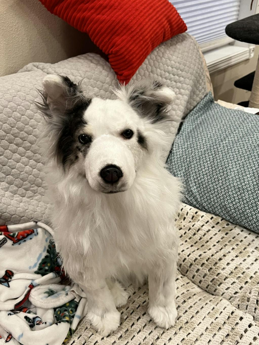 Product Reviews - Cuddle Clones