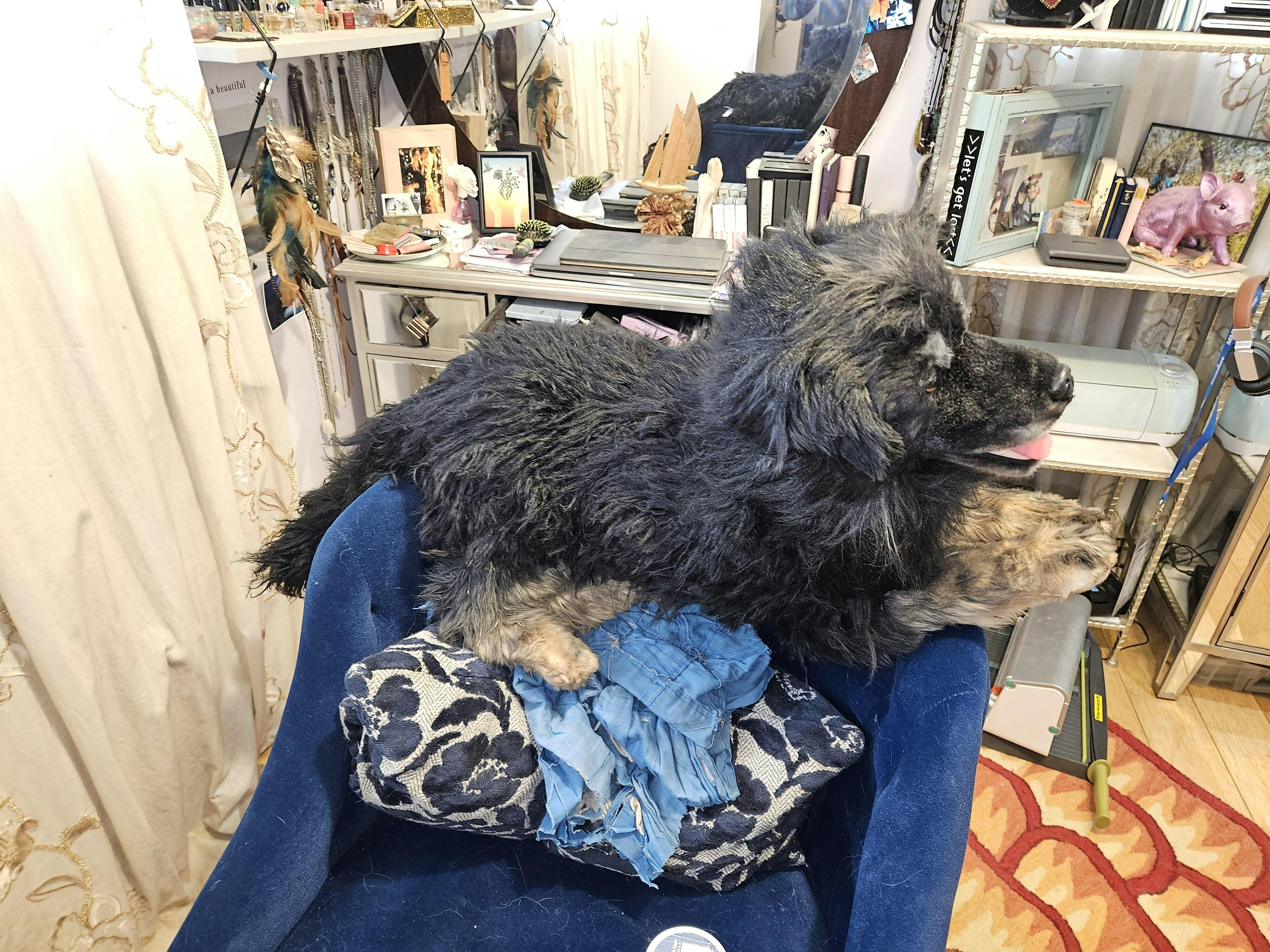 Product Reviews - Cuddle Clones