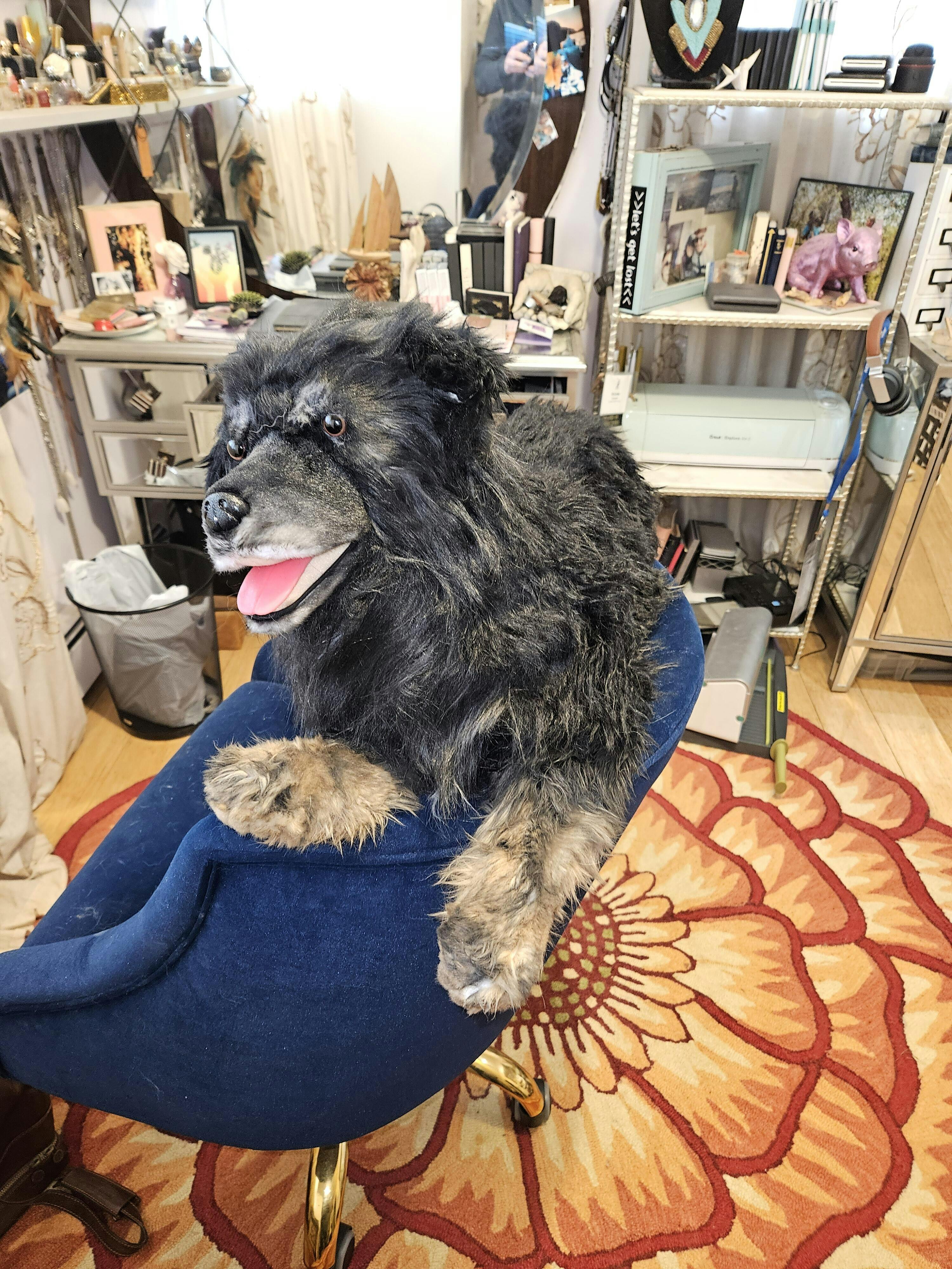 Product Reviews - Cuddle Clones