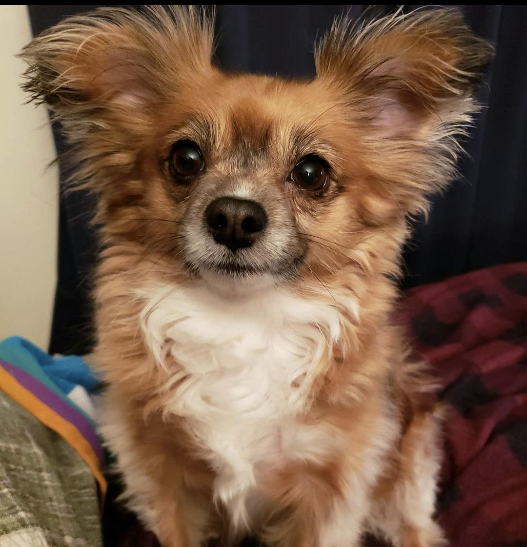 Product Reviews - Cuddle Clones