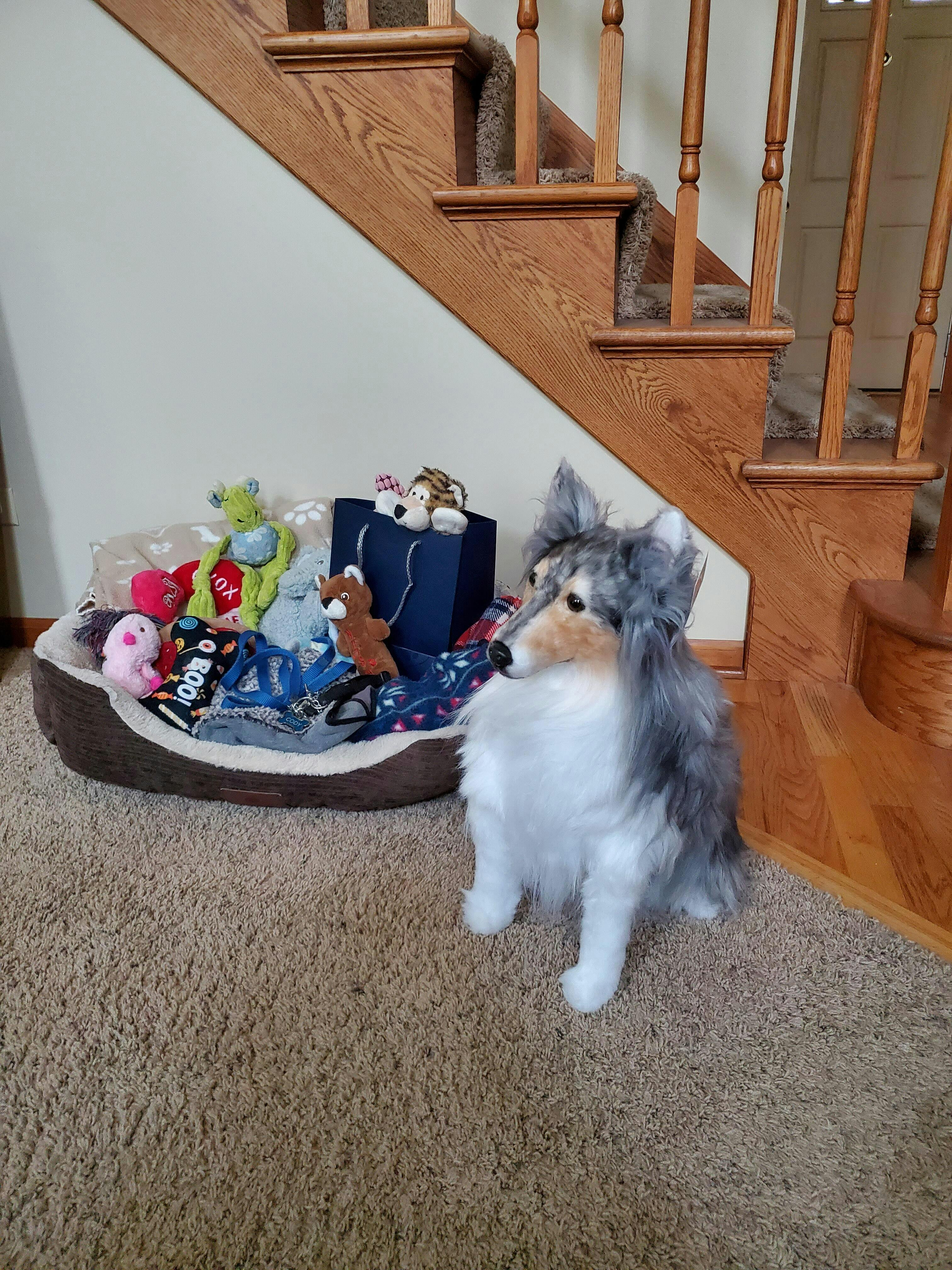 Product Reviews - Cuddle Clones