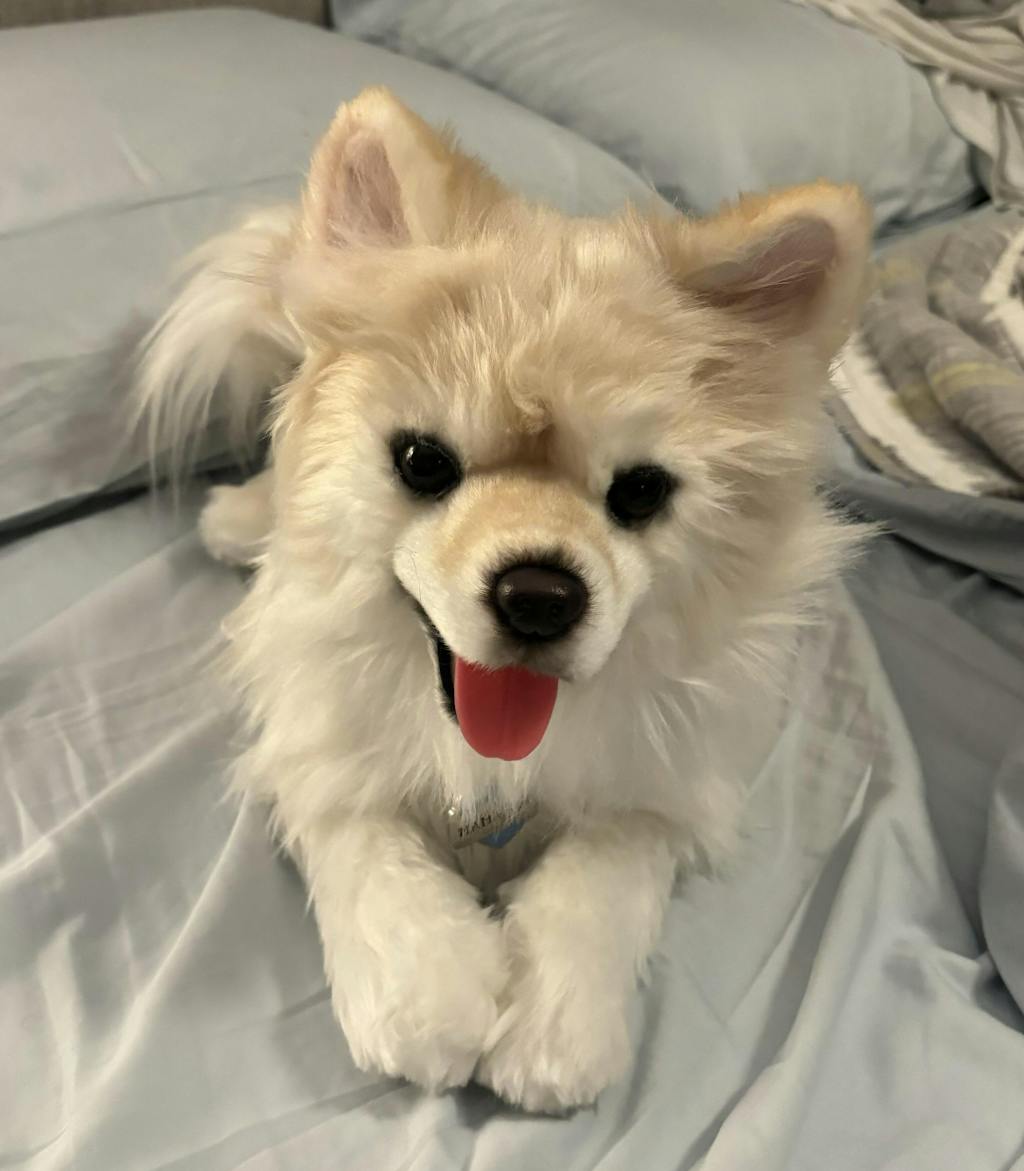 Product Reviews - Cuddle Clones