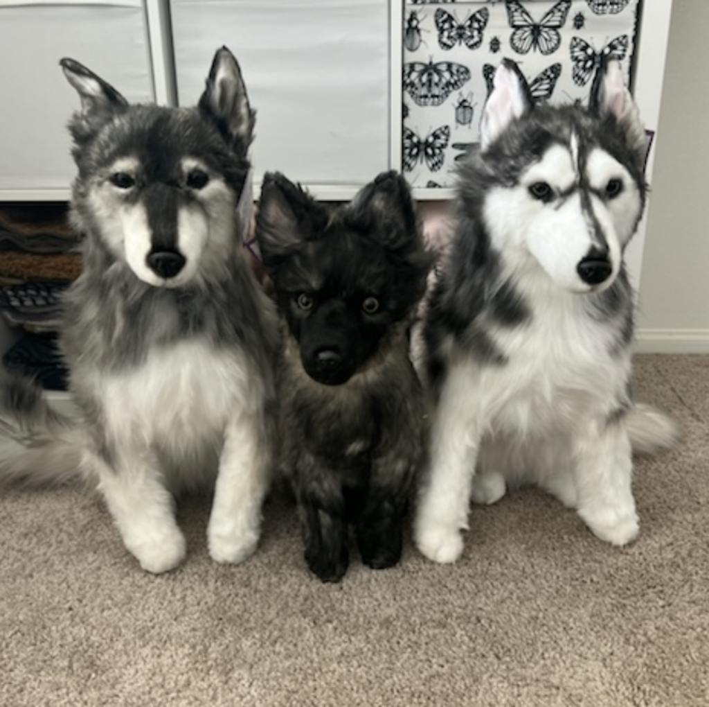 Product Reviews - Cuddle Clones