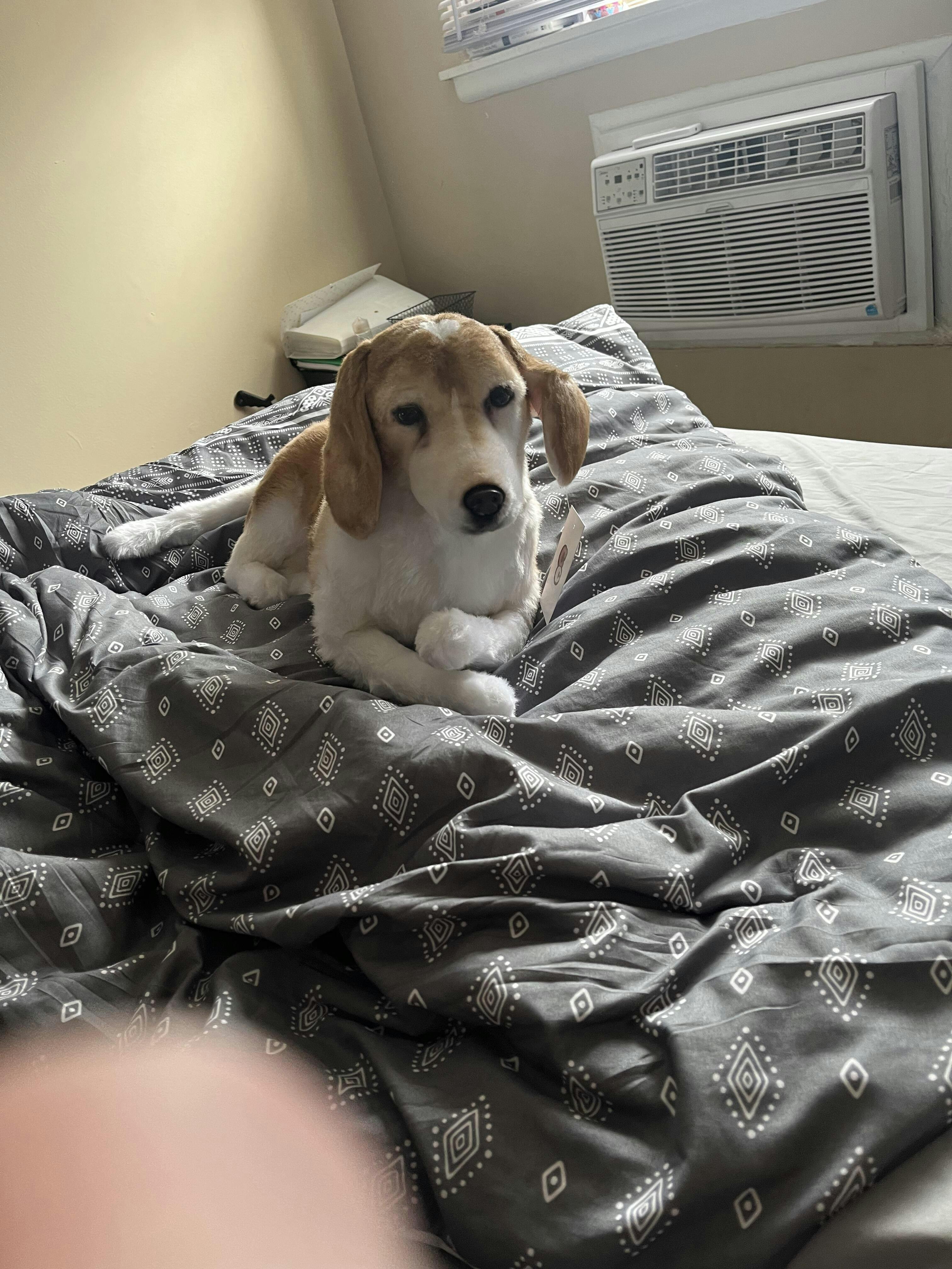 Product Reviews - Cuddle Clones