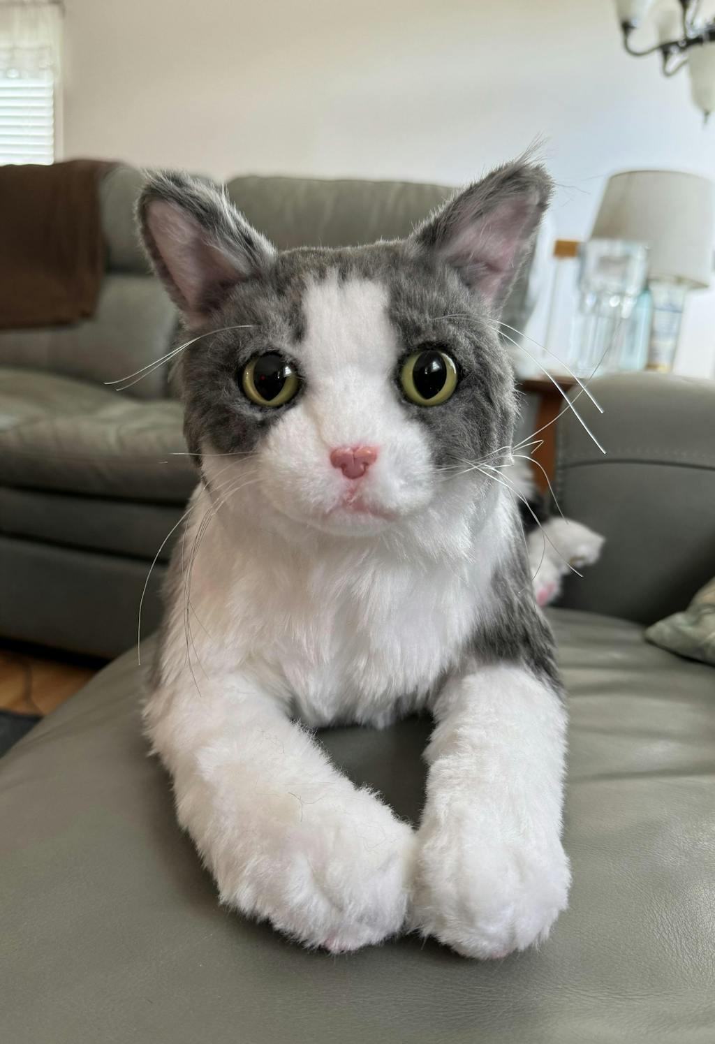 Stuffed Animal That Looks Like Your Pet | Customize a High-Quality Dog ...