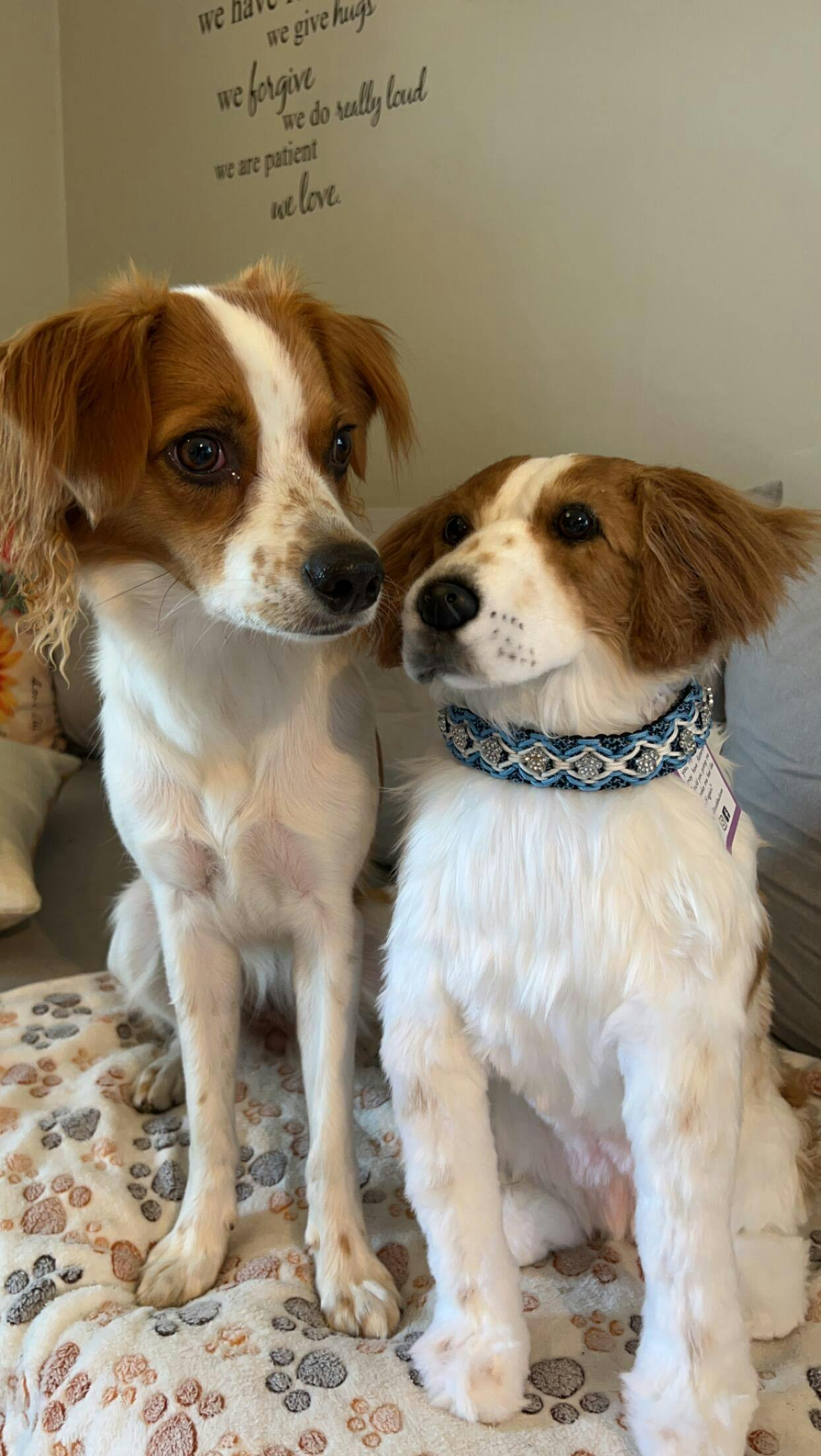 Product Reviews - Cuddle Clones