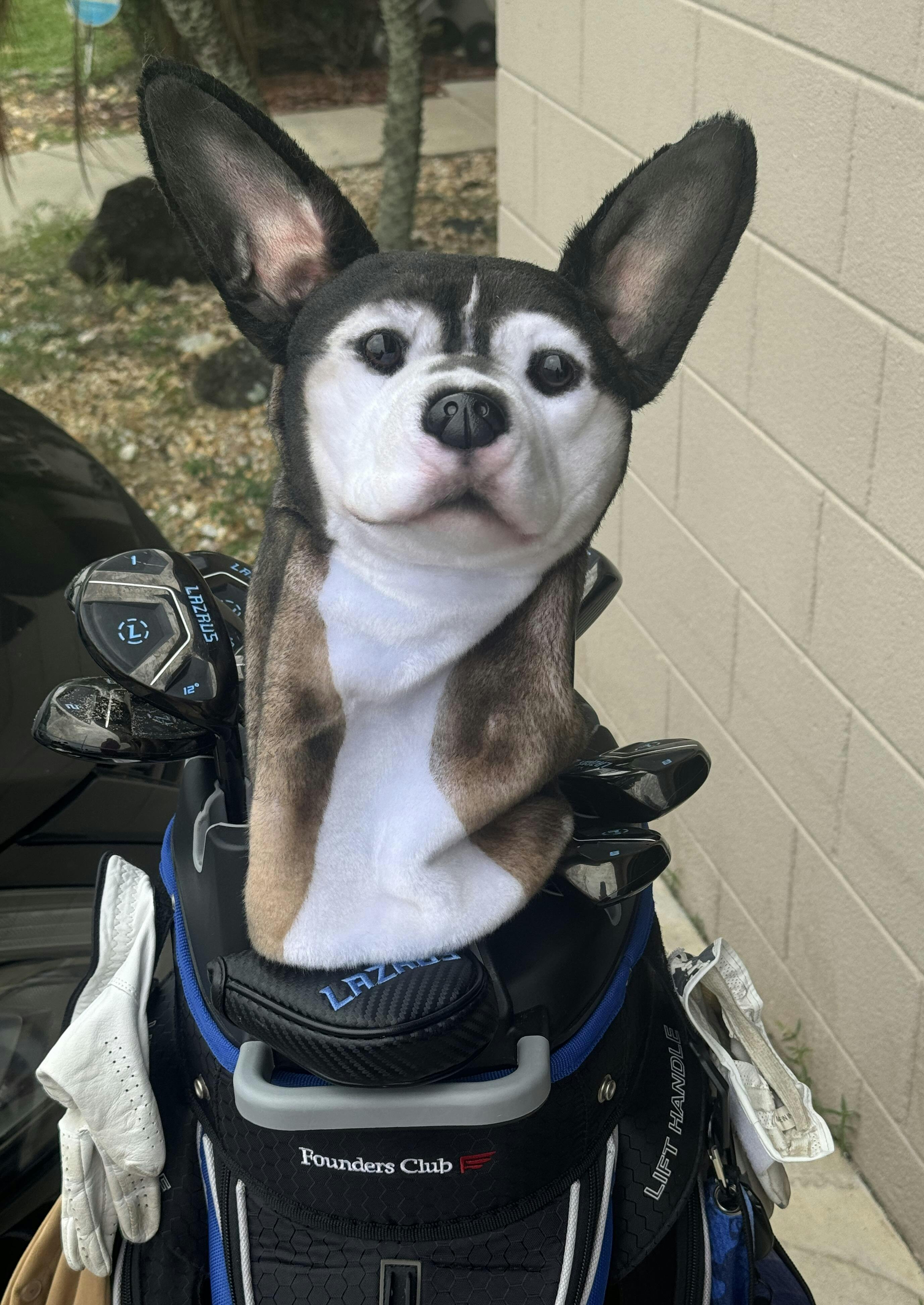 Custom Golf Headcovers | Handcrafted Custom Dog, Cat or Pet Head Covers ...