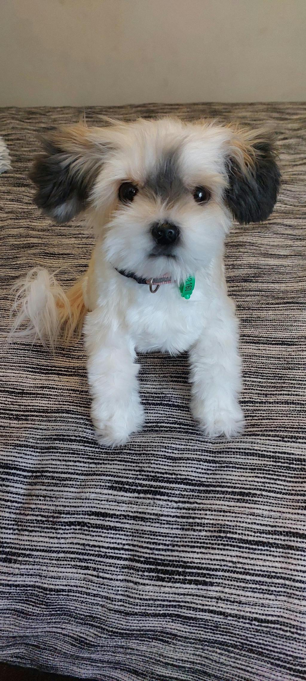 Product Reviews - Cuddle Clones