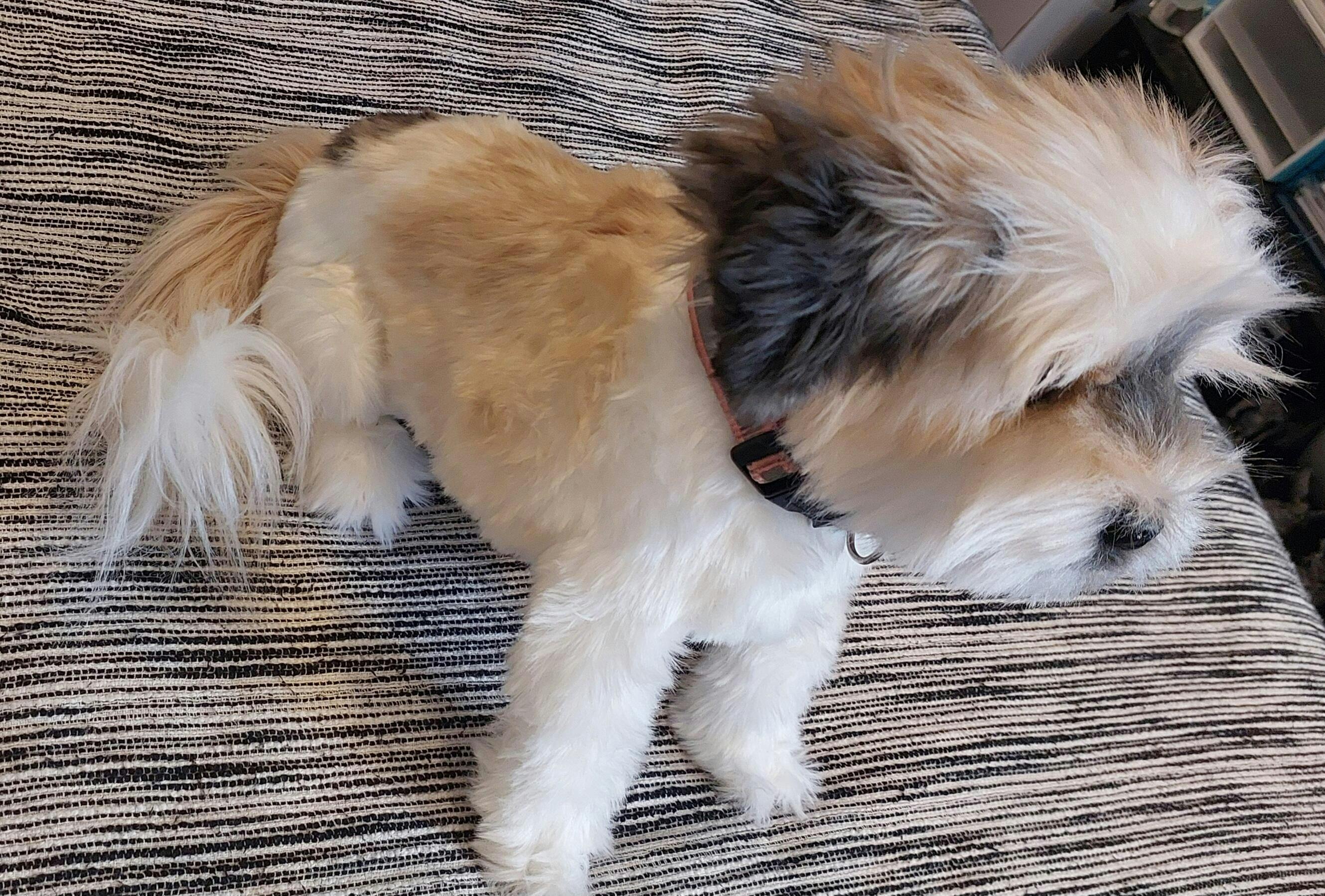 How to Customize Your Perfect Clone - Cuddle Clones