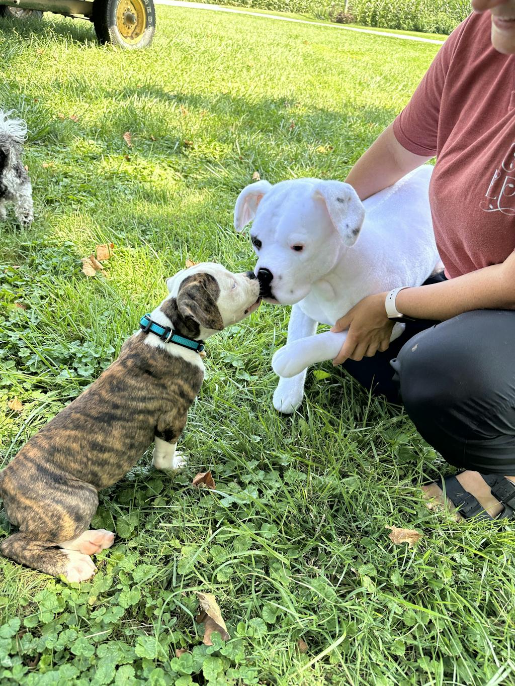 How to Customize Your Perfect Clone - Cuddle Clones