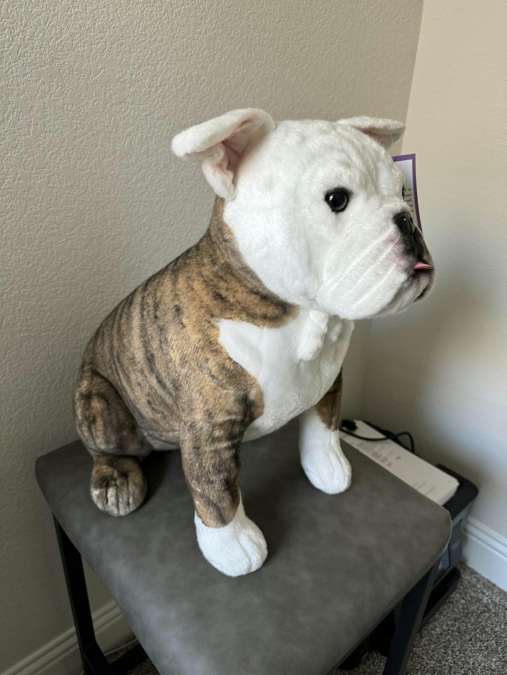 Stuffed Animal That Looks Like Your Pet | Customize a High-Quality Dog ...