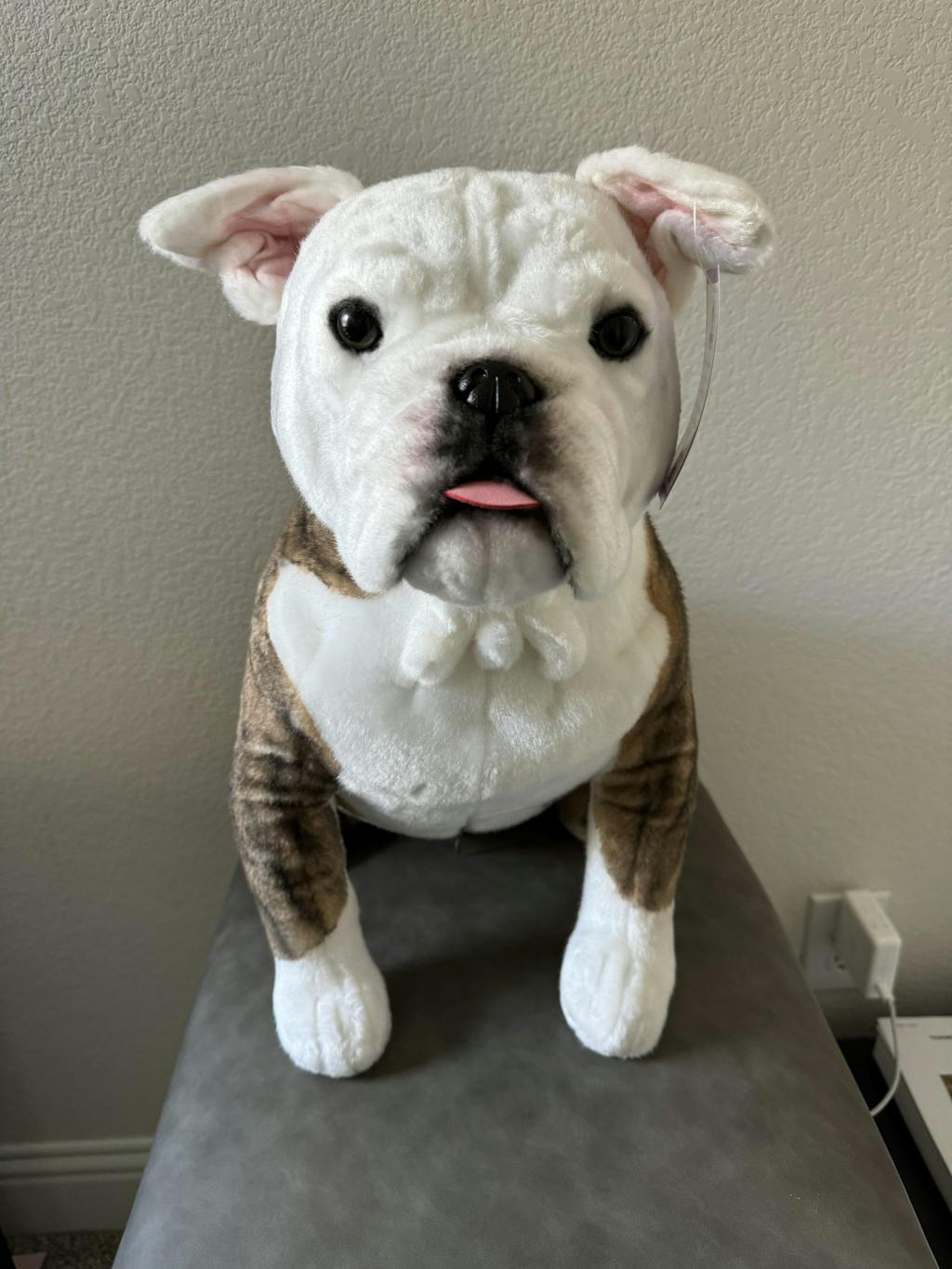 Stuffed Animal That Looks Like Your Pet | Customize a High-Quality Dog ...