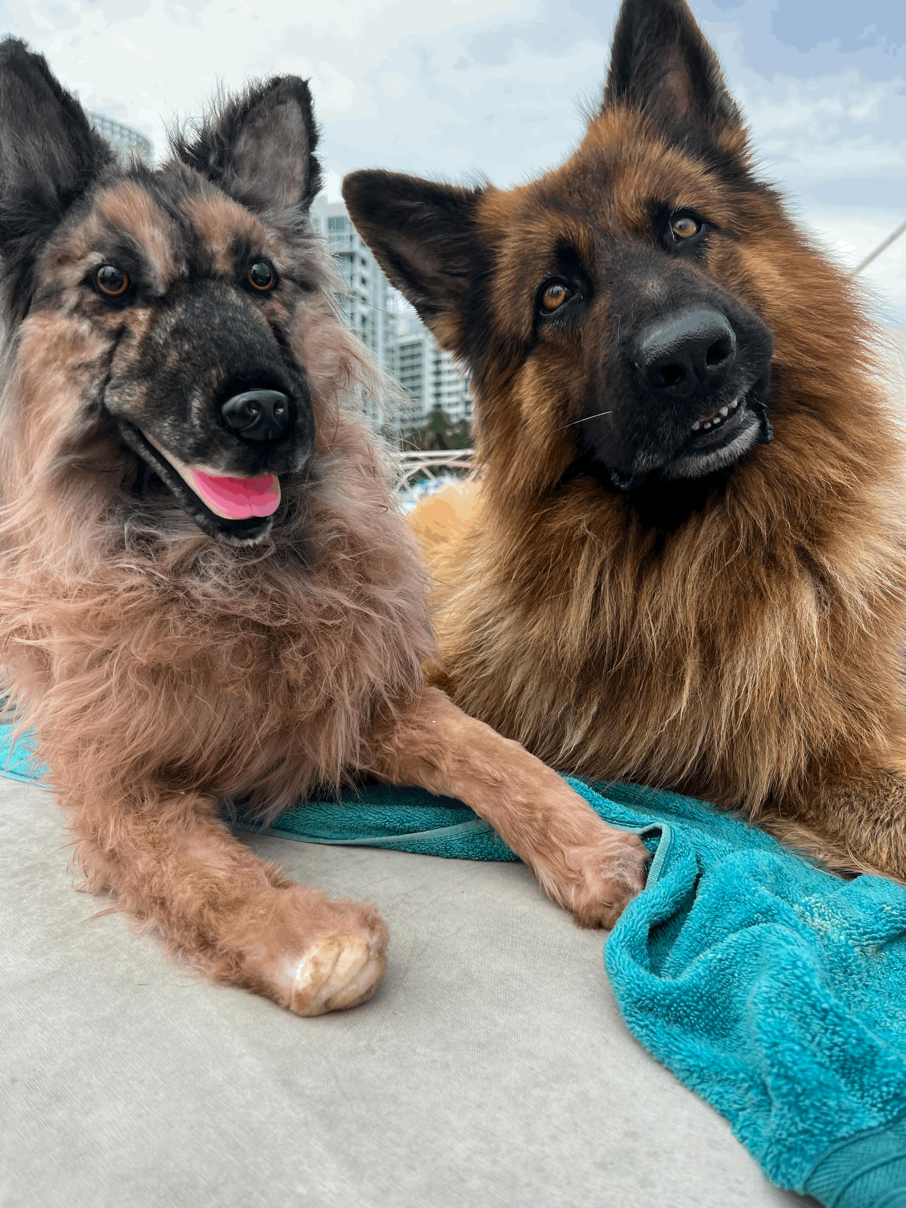 How to Customize Your Perfect Clone - Cuddle Clones